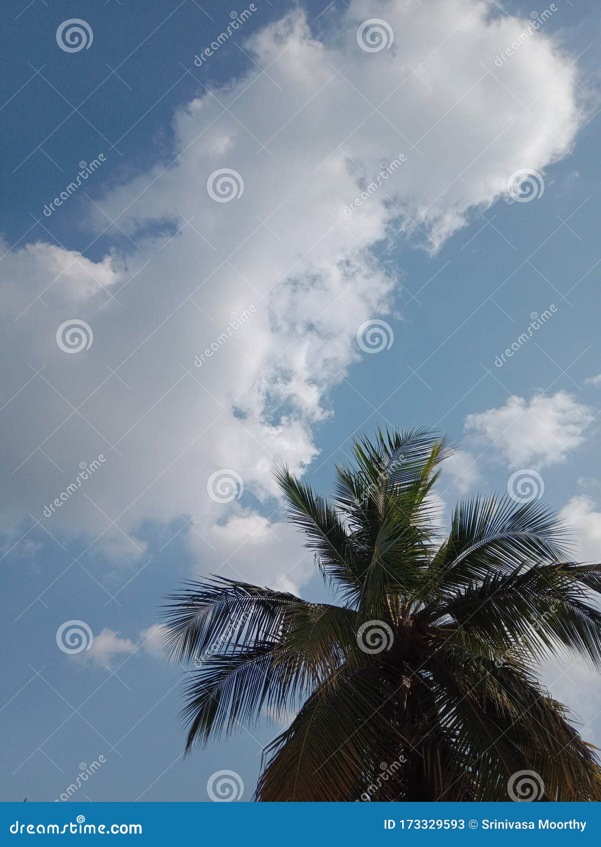 Nature Tree and Clouds Beautiful Natural Stock Image - Image of natural ...
