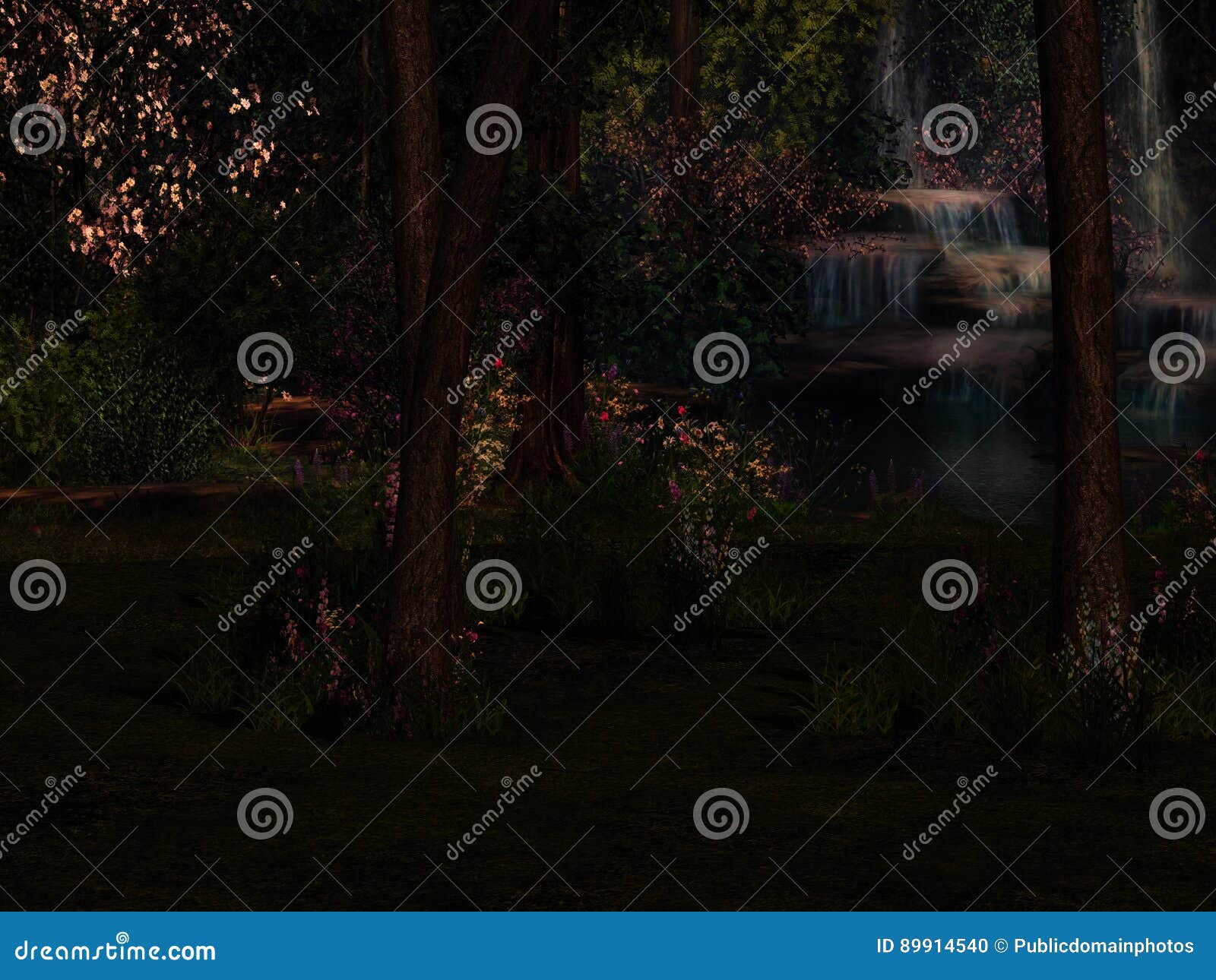 Nature, Tree, Forest, Night Picture. Image: 89914540