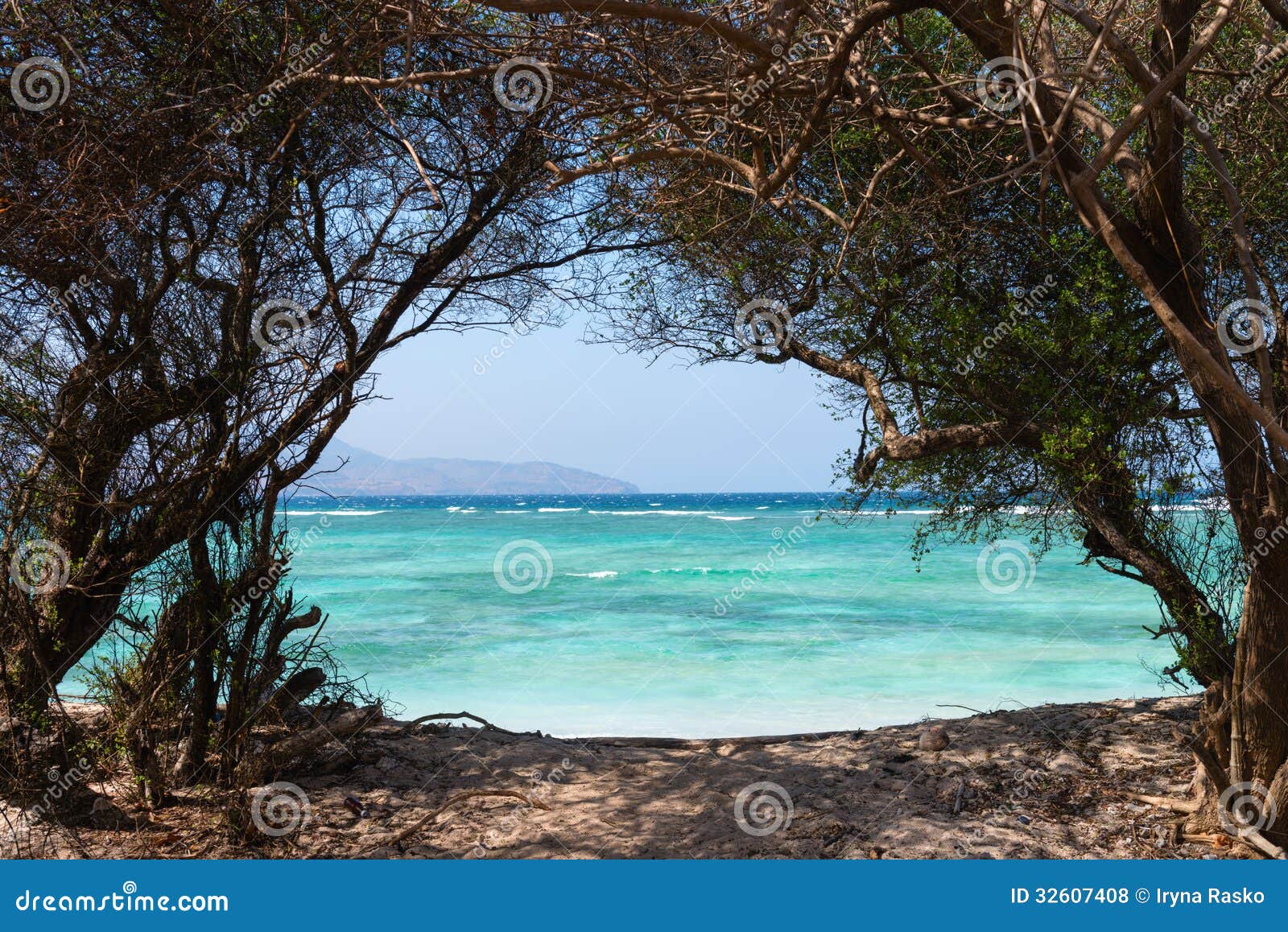 Nature Tree Frame To the Sea Stock Photo - Image of island, background ...