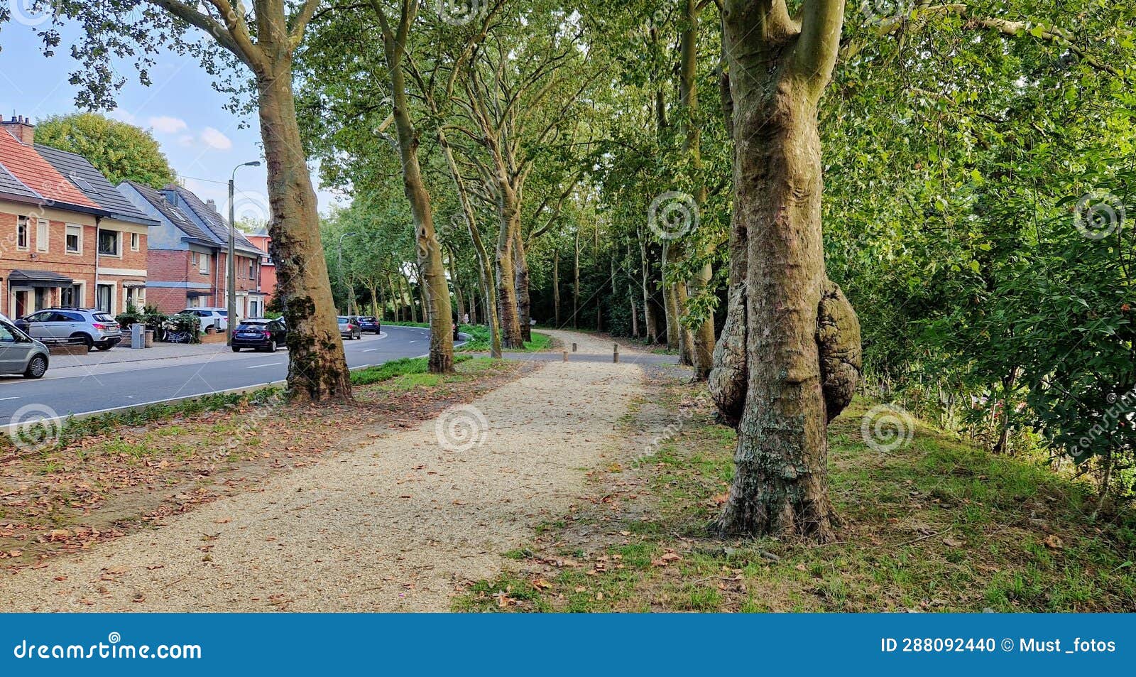 Nature Tree Landscape of Liege Belgium, Stock Photo - Image of ...