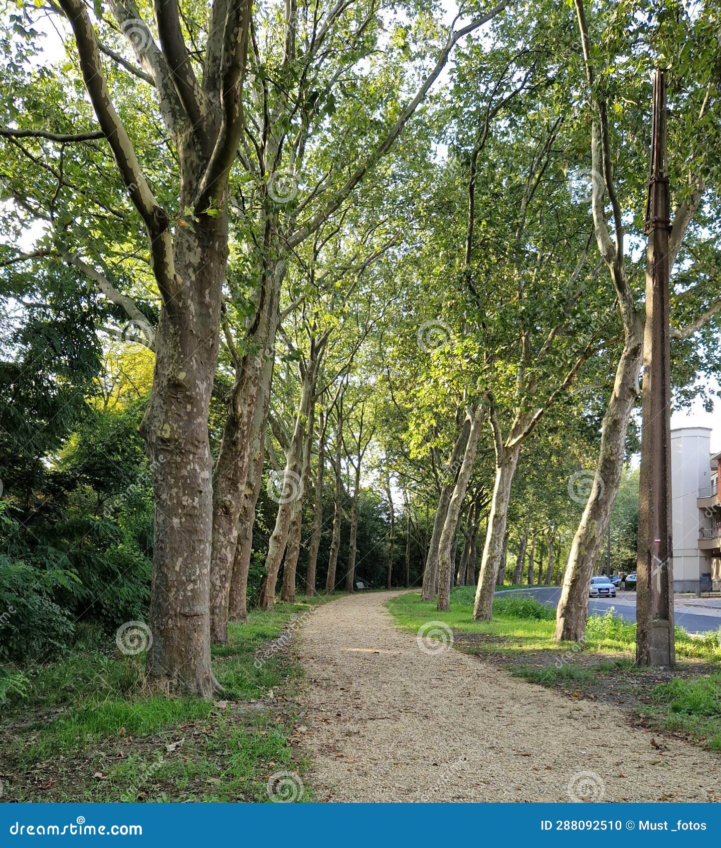 Nature Tree Landscape of Liege Belgium Stock Photo - Image of tree ...