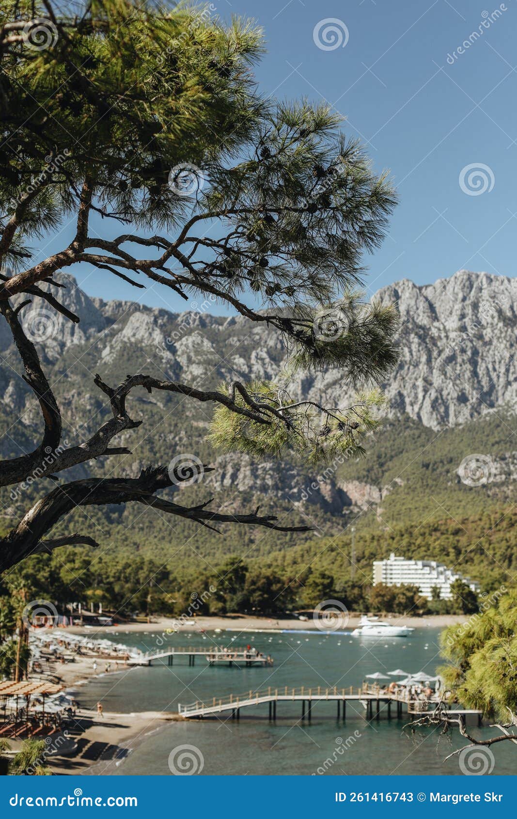 Nature Tree Sea Mountain Relax Stock Image - Image of autumn, park ...