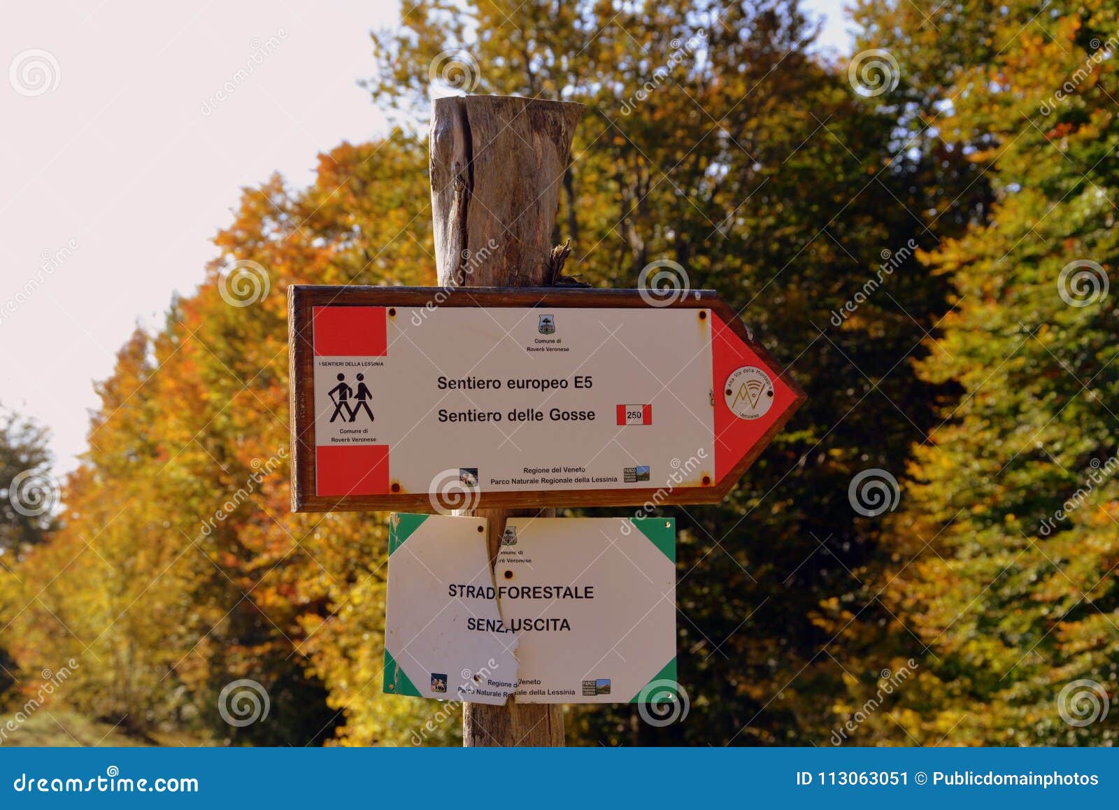 Nature, Tree, Signage, Sign Picture. Image: 113063051