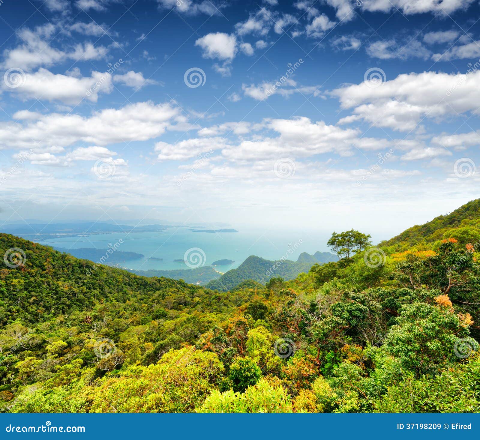 Tropical Landscape. Mountains and Sea Stock Image - Image of flora ...