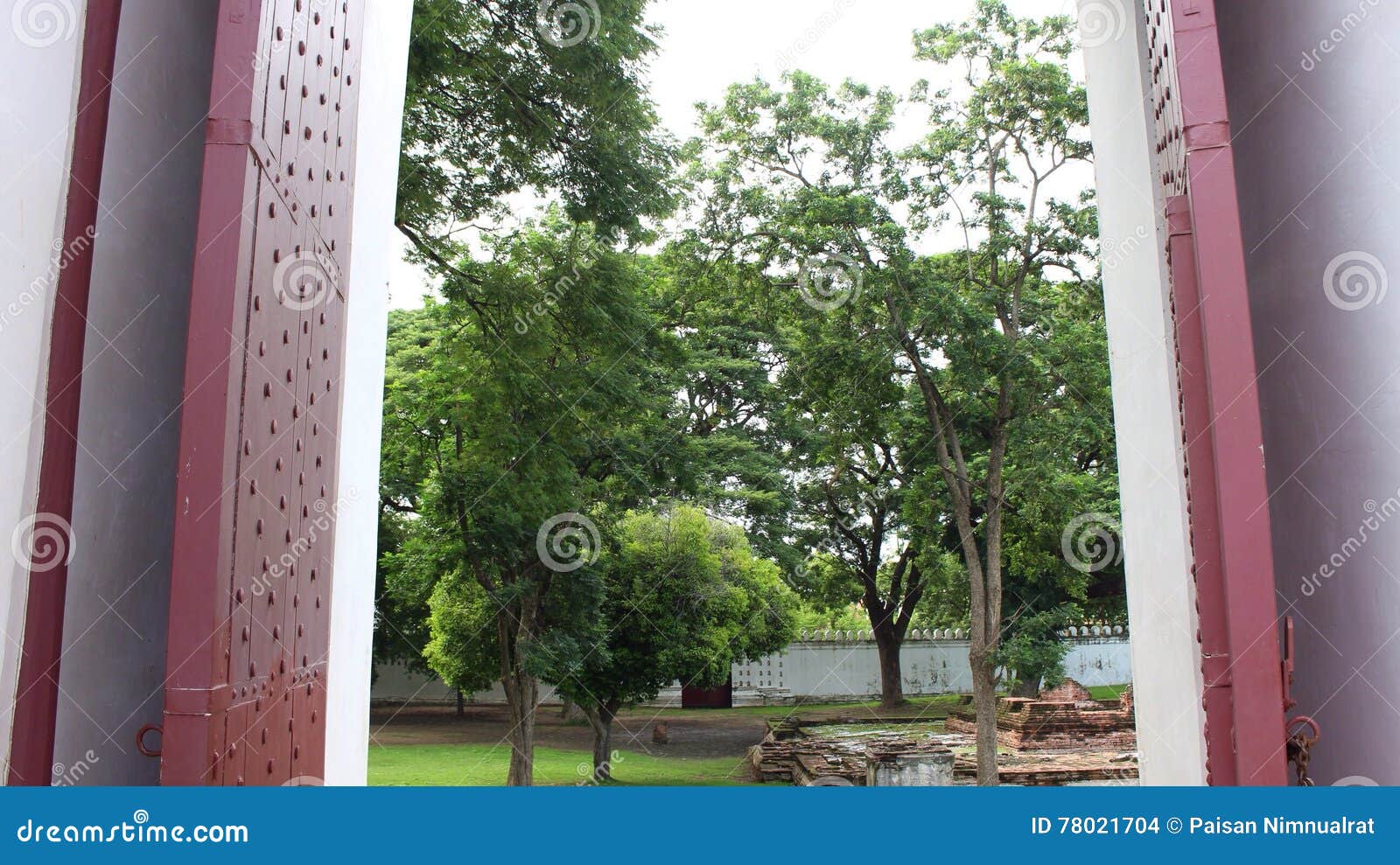 Nature between two doors stock photo. Image of grass - 78021704