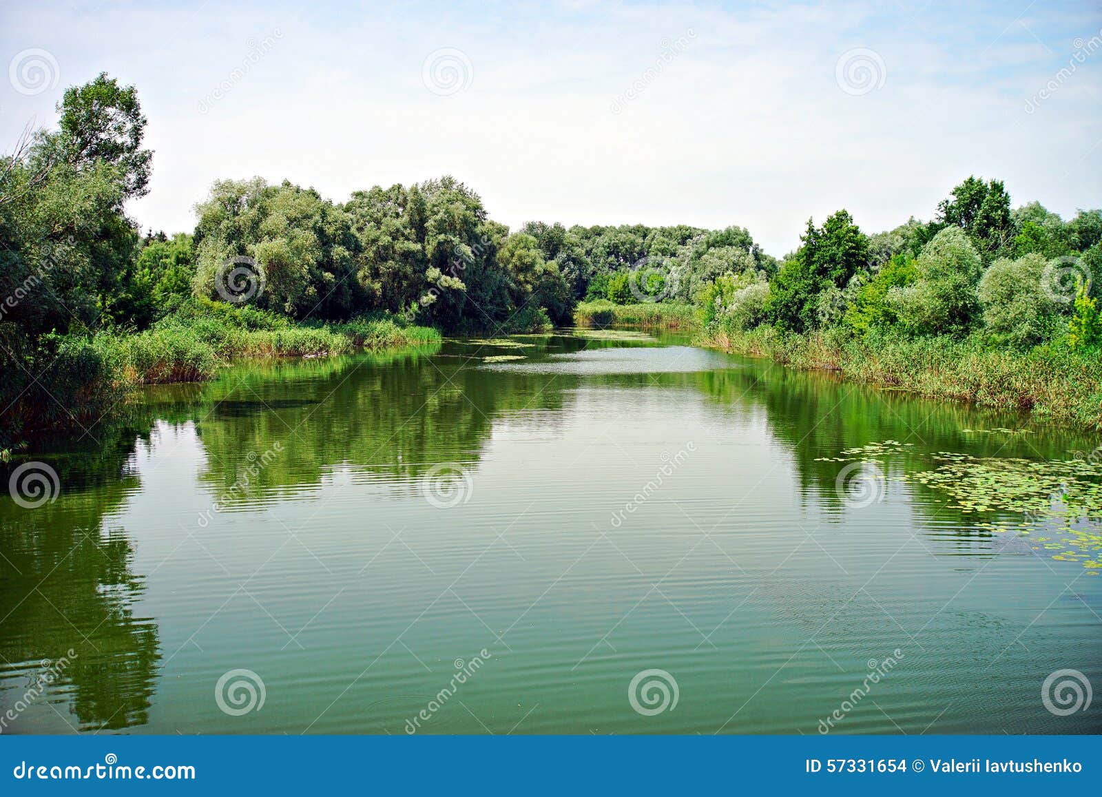 Nature of Ukraine. Myrhorod Stock Photo - Image of bright, fresh: 57331654