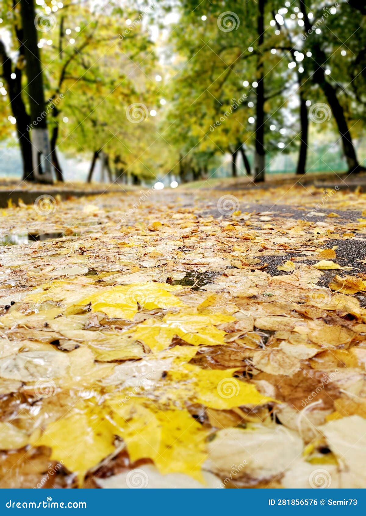 Natureukrainesteps Stock Photos - Free & Royalty-Free Stock Photos from ...