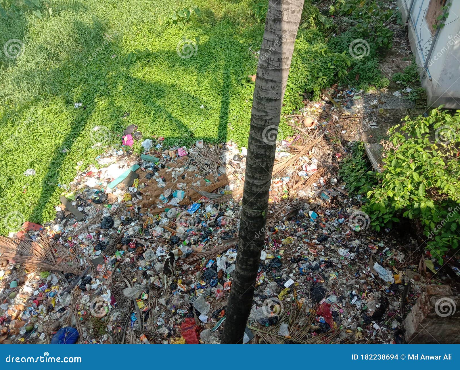 Nature Under Danger All Garbage on Floor Editorial Stock Image - Image ...