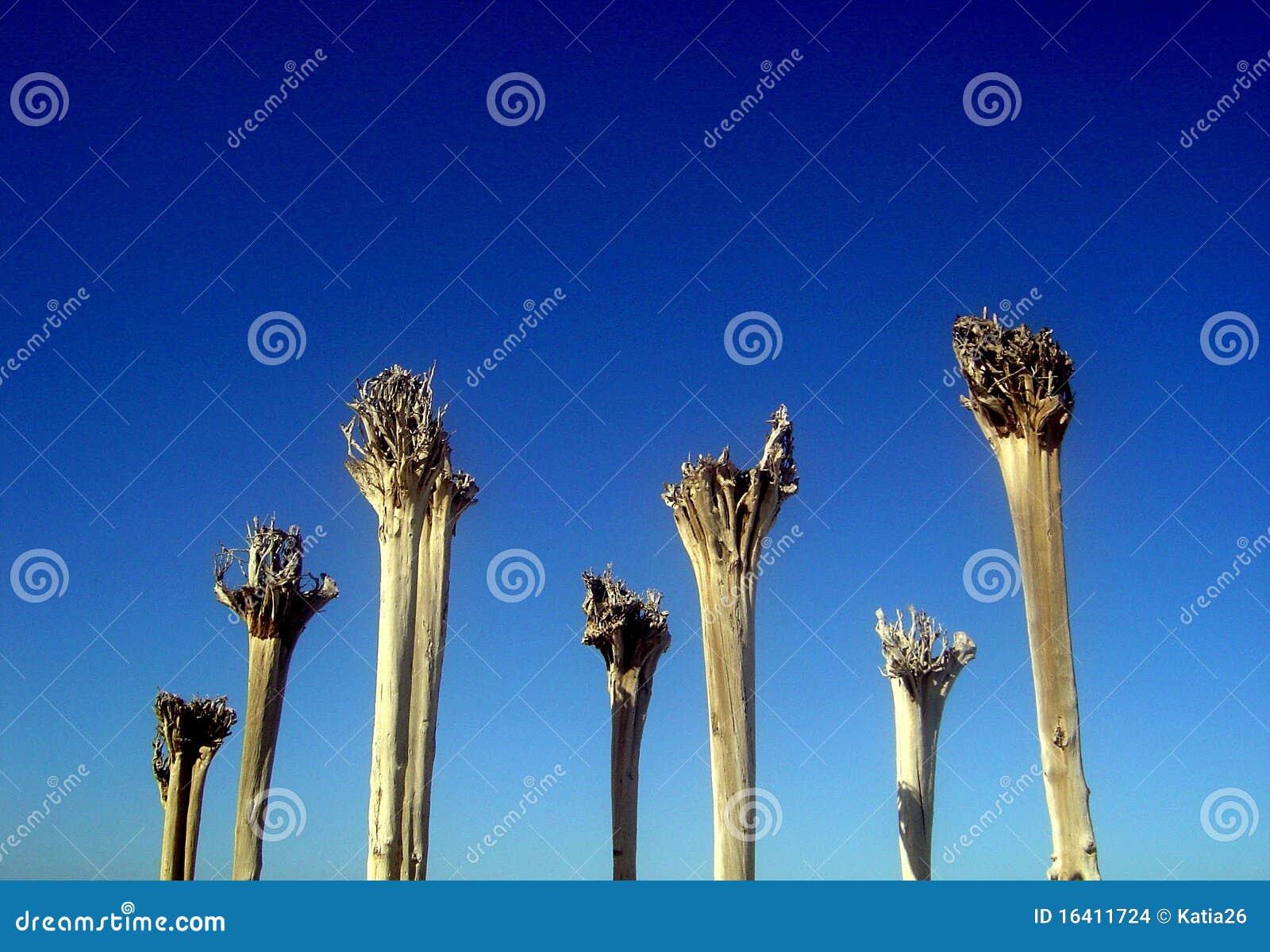 Nature upside down. stock photo. Image of planet, change - 16411724