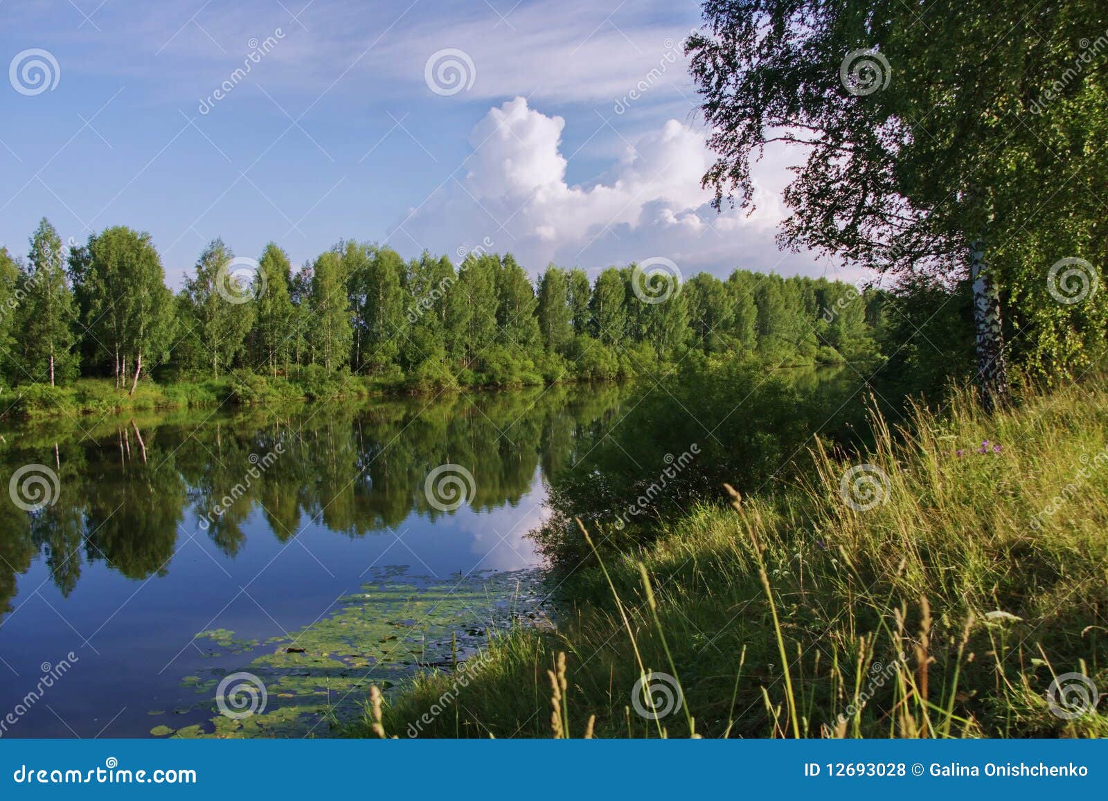 Nature of the Ural River Chusovaya Stock Photo - Image of birch ...
