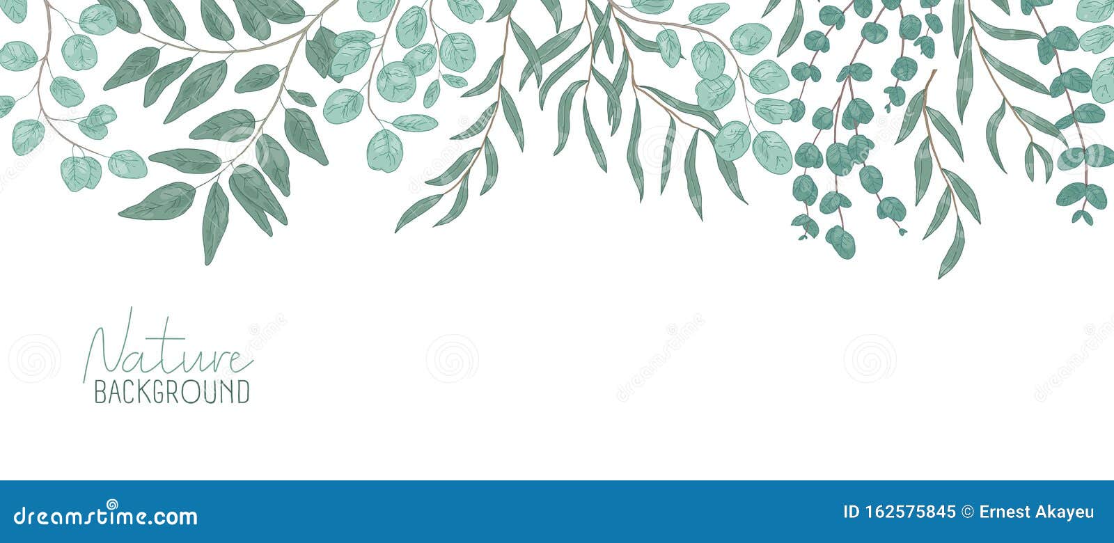 Nature Vector Realistic Background. Foliage Backdrop with Place for ...