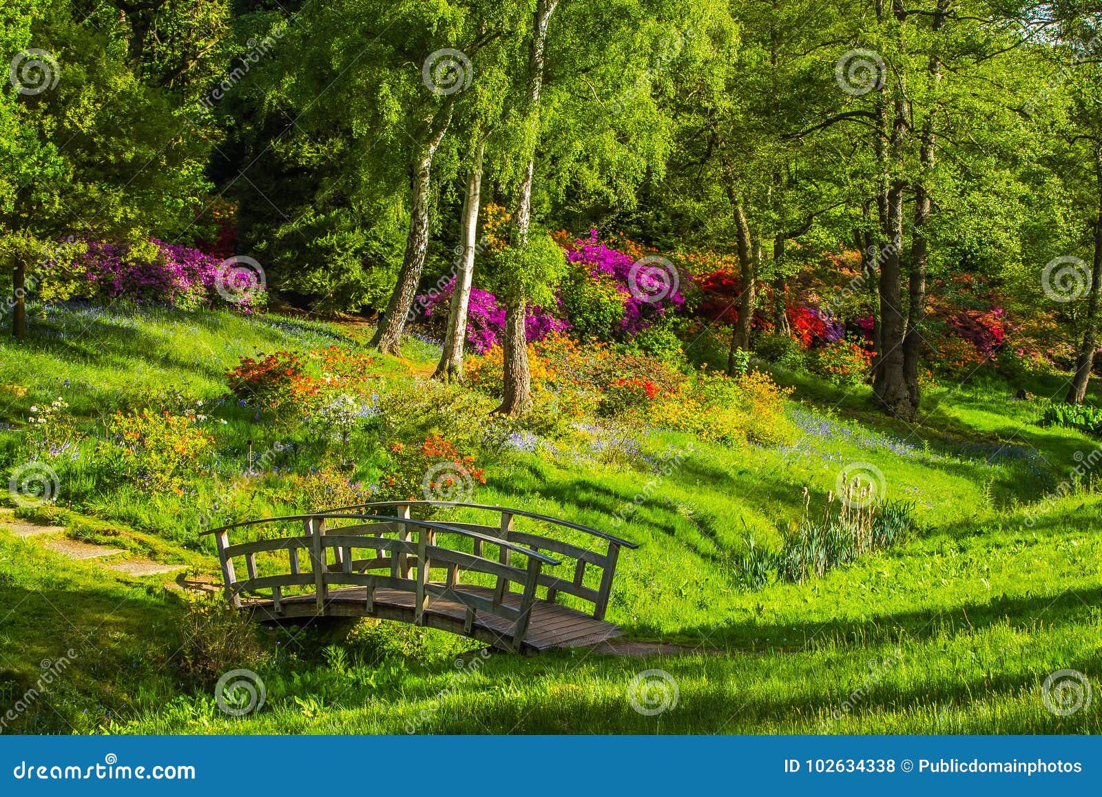 Nature, Vegetation, Botanical Garden, Flower Picture. Image: 102634338