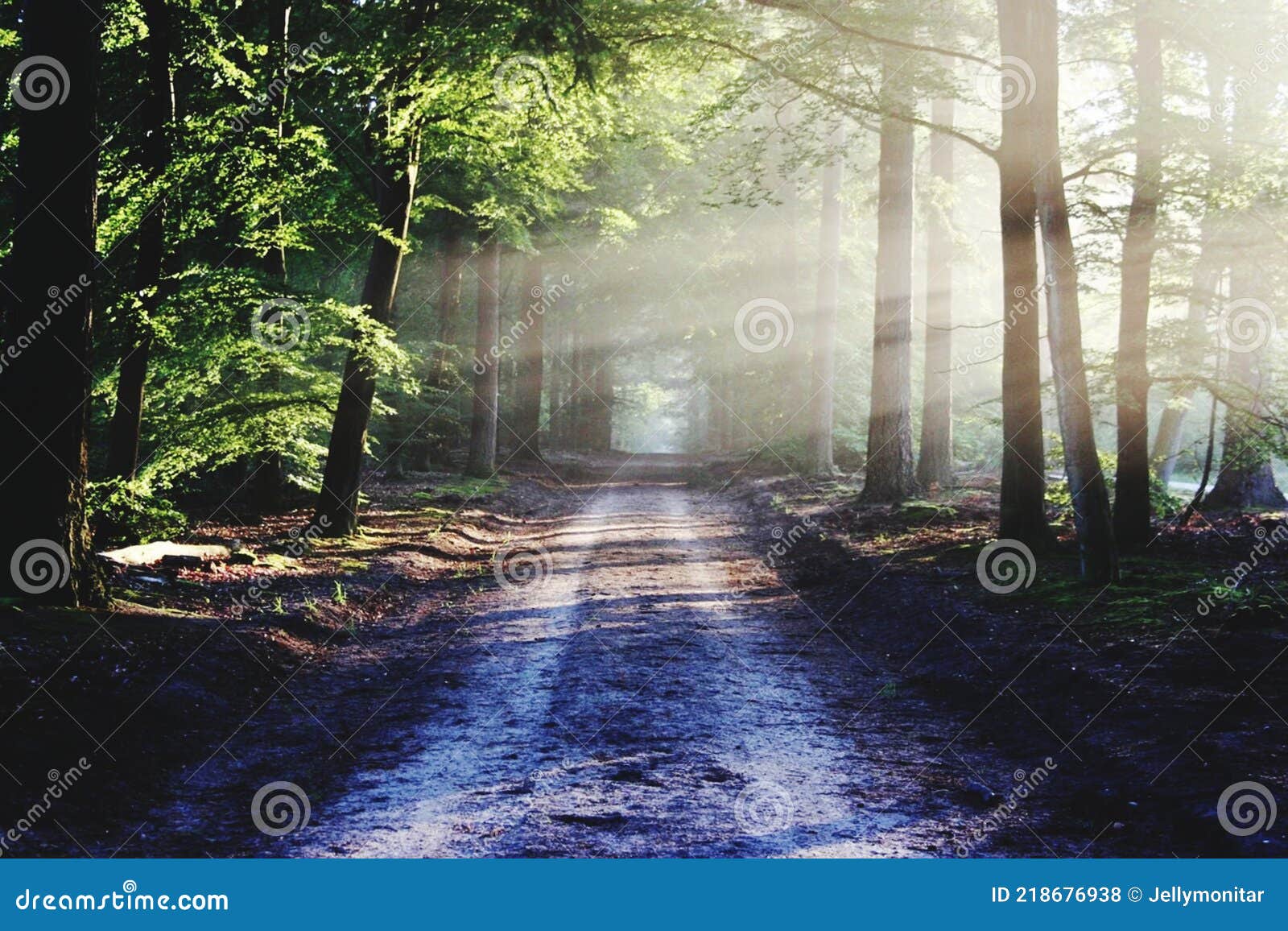 Nature is the Very Beautiful Stock Photo - Image of woods, beautiful ...