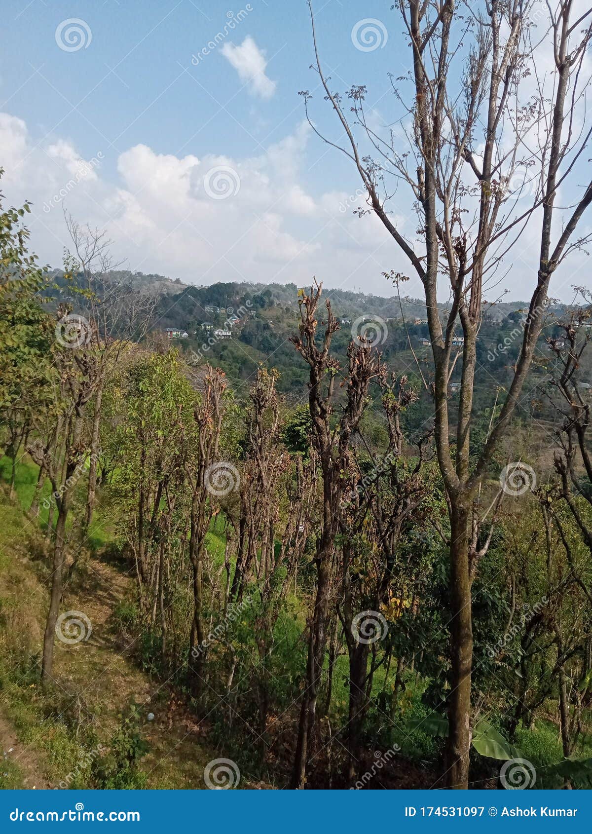 Nature a Very Beautiful Nature Stock Image - Image of beautiful ...