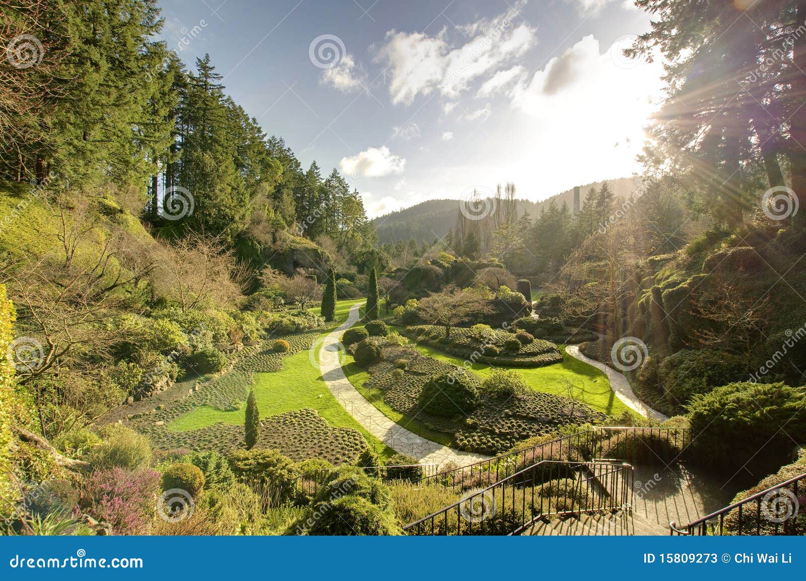 Nature of Victoria stock image. Image of winter, victoria - 15809273