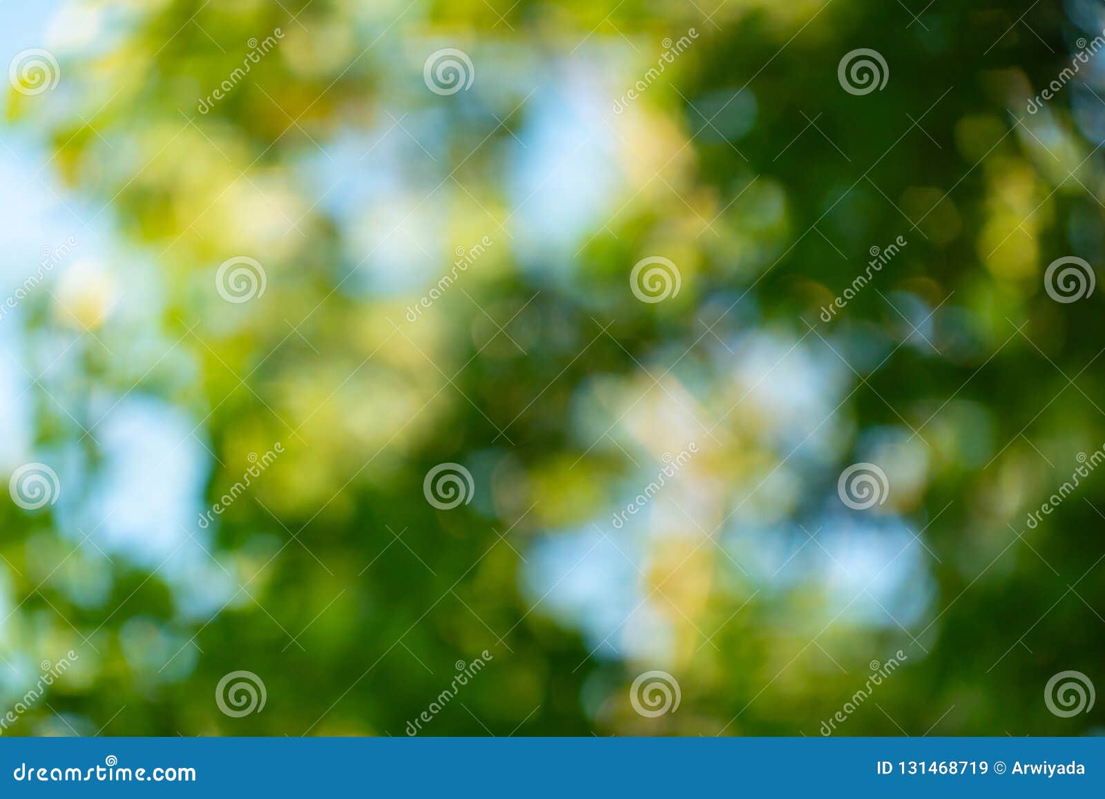 Nature View of Green Leaf on Blurred Background in Garden Plant Stock ... Nature View of Green Leaf on Blurred Background in Garden Plant Stock ...