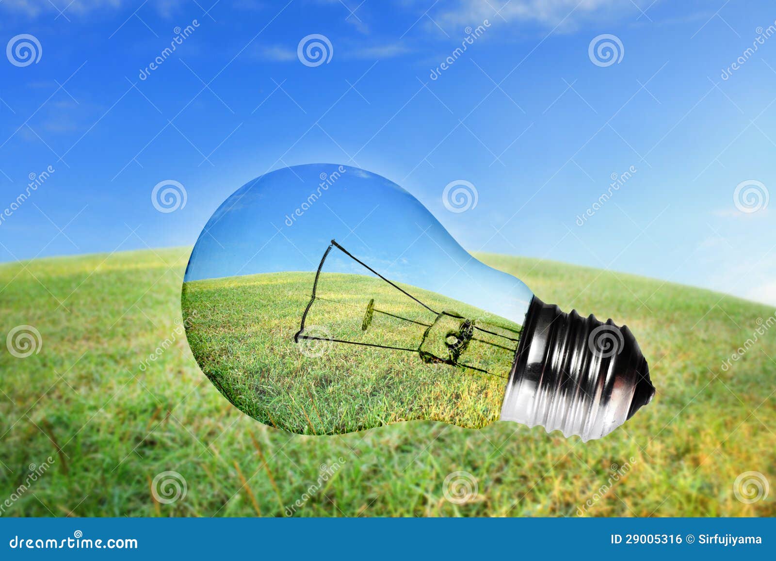 Nature view in light bulb stock photo. Image of light - 29005316
