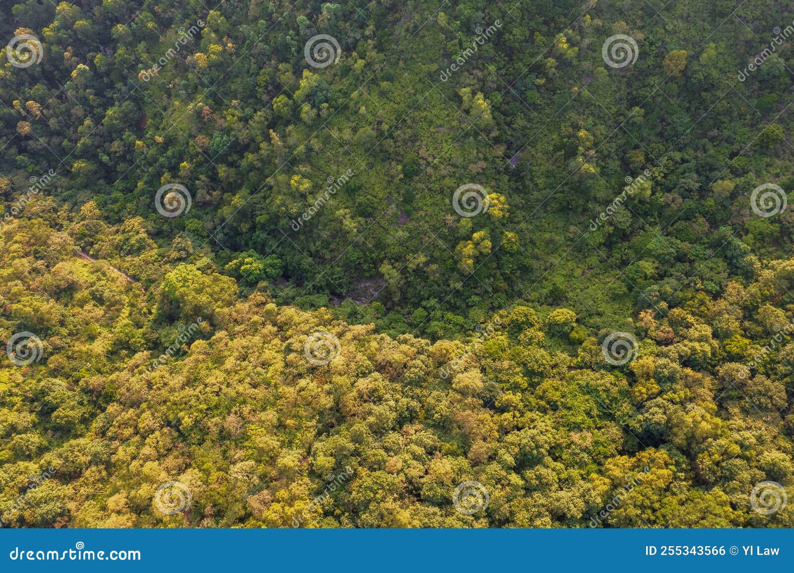 The Nature View of Mau Wu Shan, Hk Stock Photo - Image of apartment ...