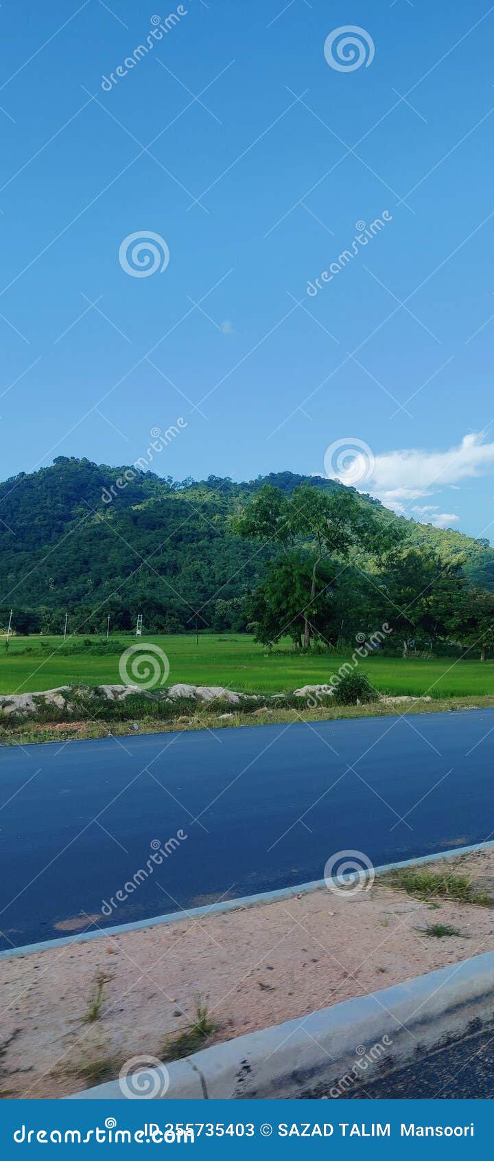 Nature View of Nagaon Assam Stock Image - Image of nature, green: 255735403