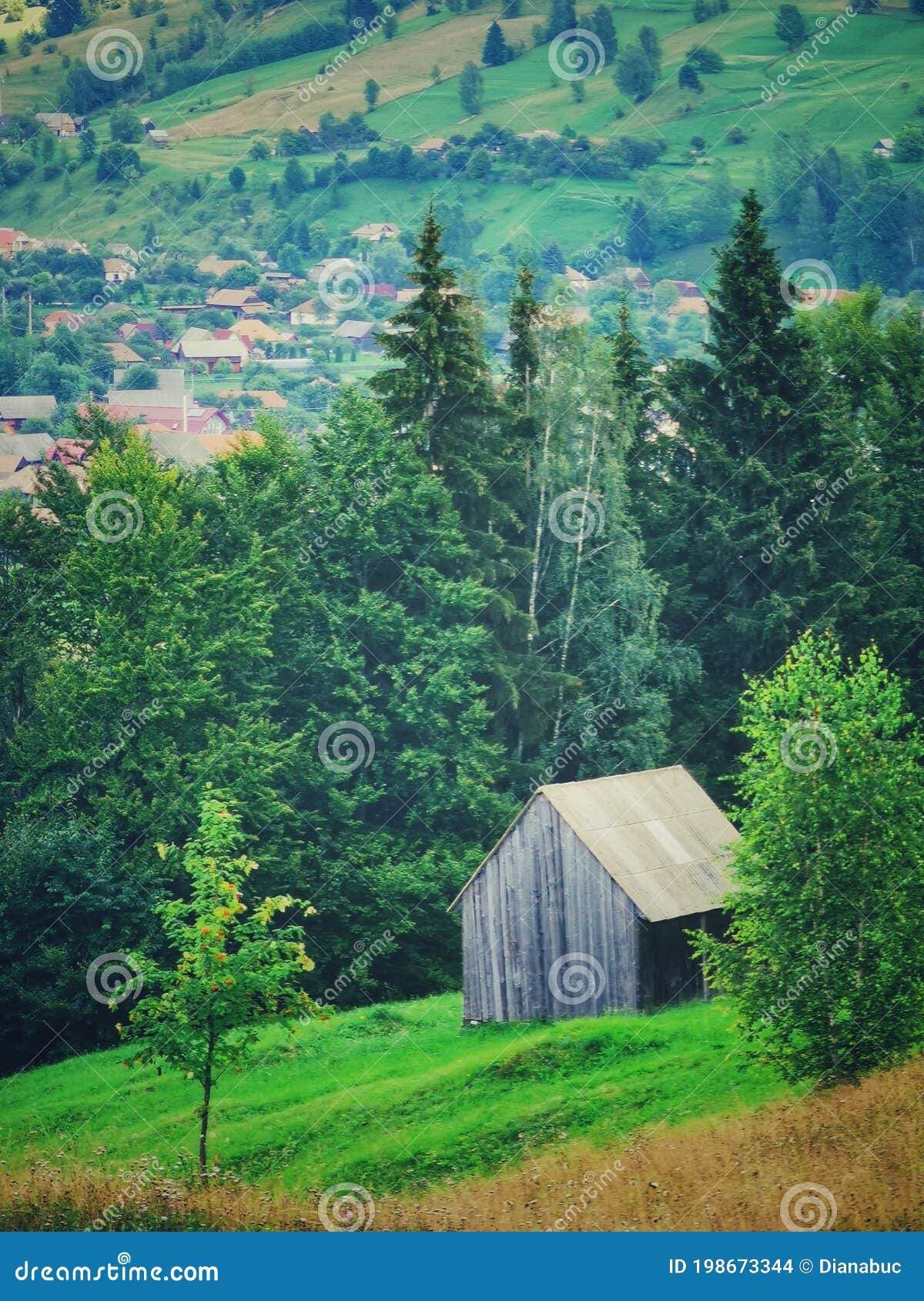 Nature view in romania stock photo. Image of valley - 198673344