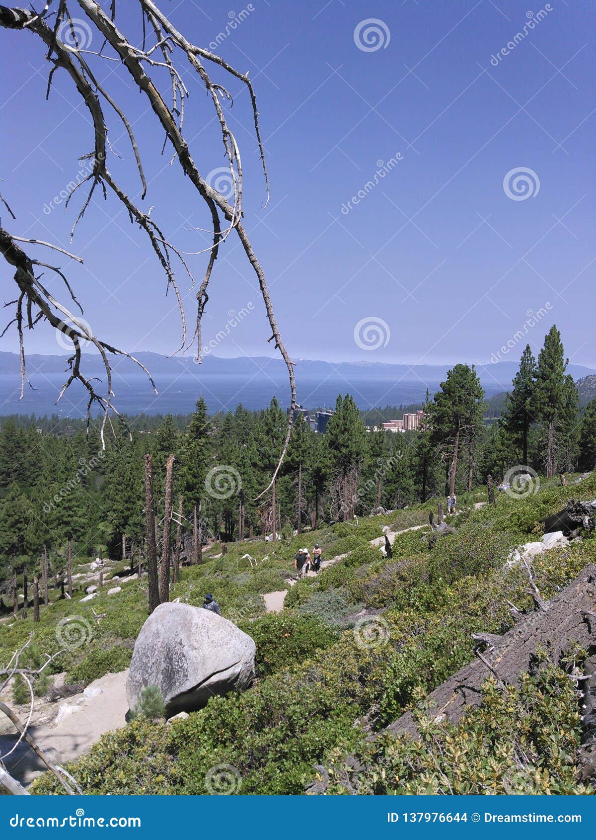 Nature view editorial stock image. Image of view, side - 137976644