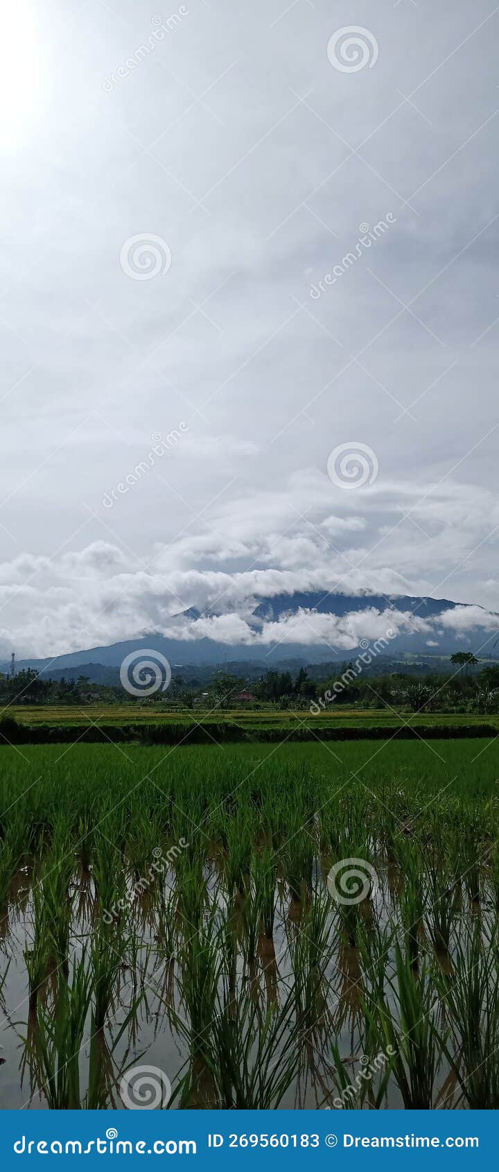 Nature in the Village with a Bad Cloud but Still Look Good Stock Image - Image of cloud, still ...