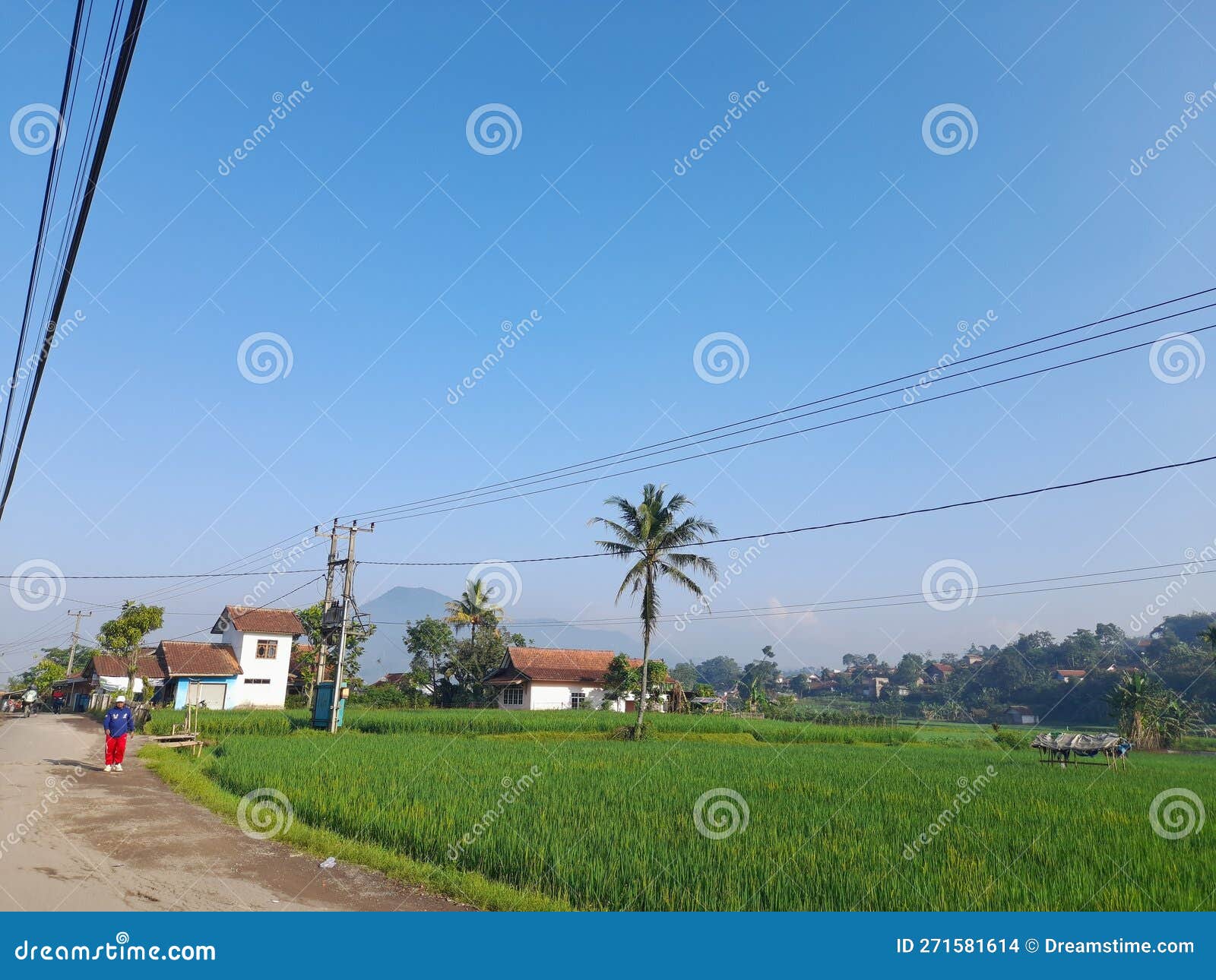 Nature Village View in the Morning Beautiful Editorial Stock Image ...