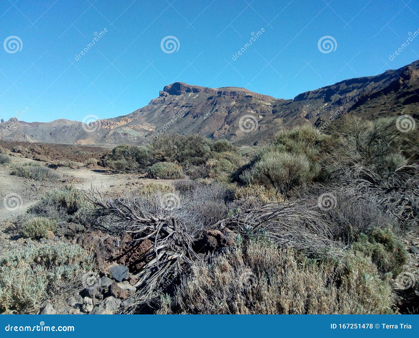 Nature volcano Colors stock photo. Image of spain, volcano - 167251478