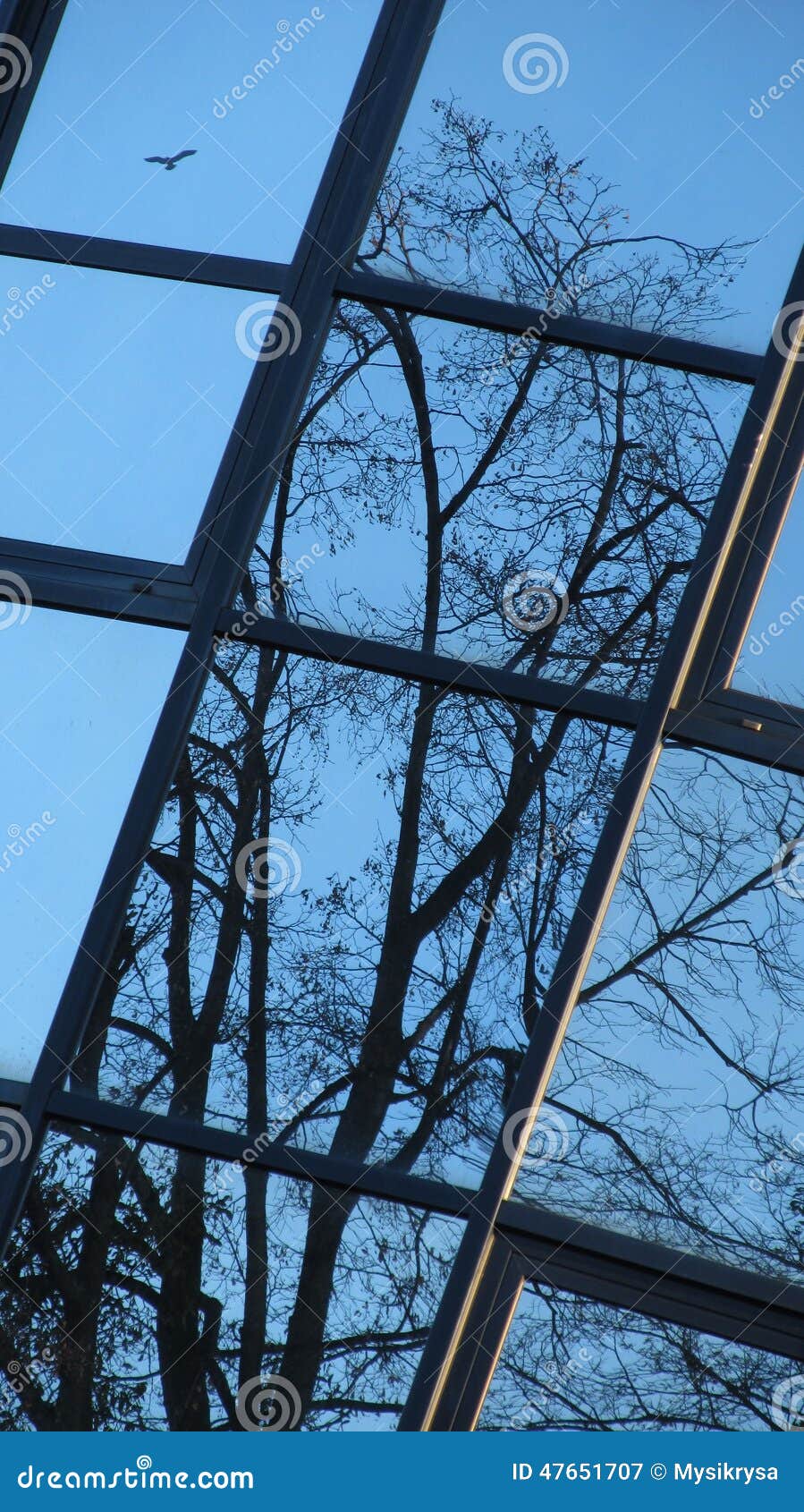 Nature vs civilization stock image. Image of glance, glancing - 47651707