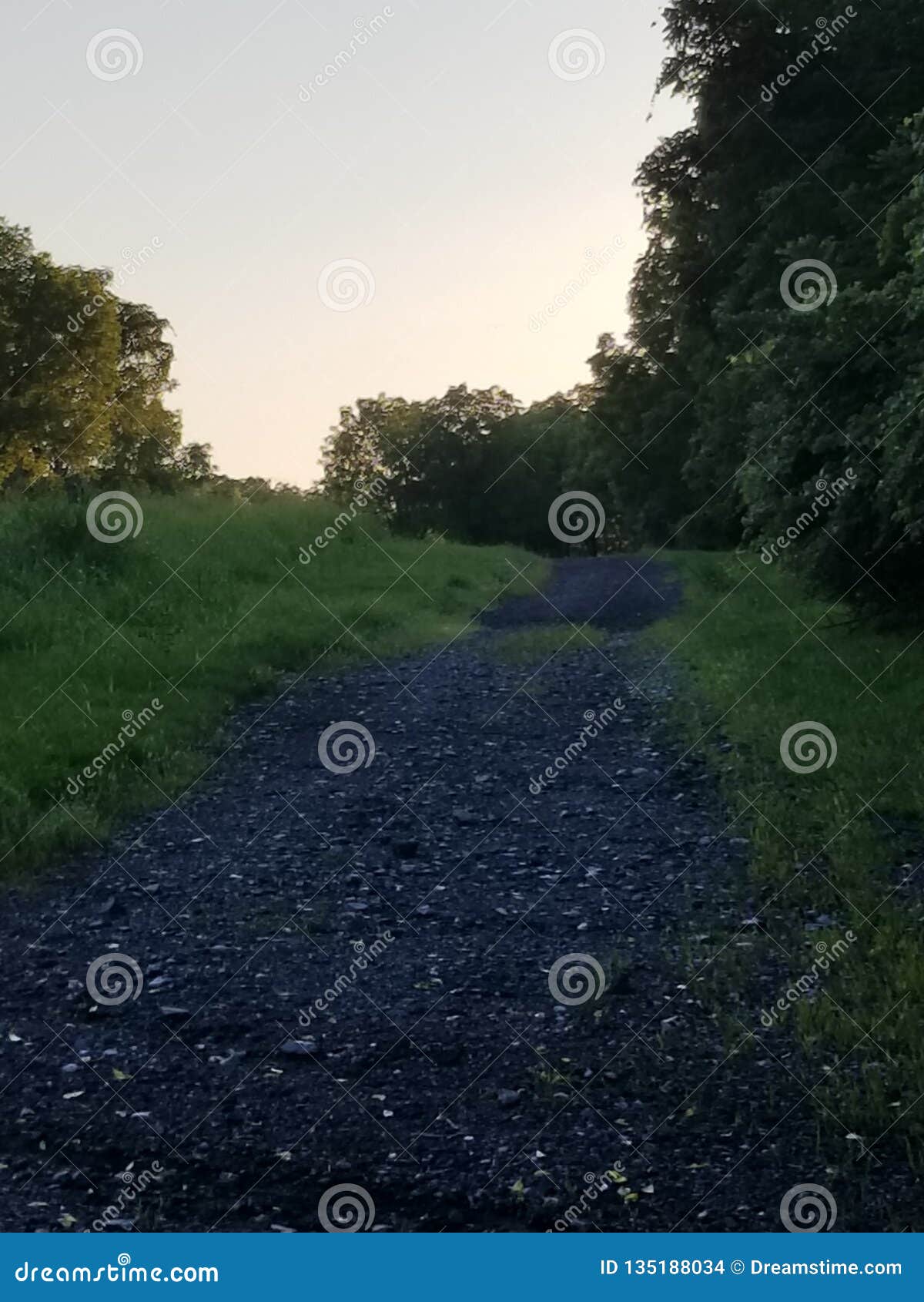 Nature walk stock photo. Image of woods, hike, nature - 135188034