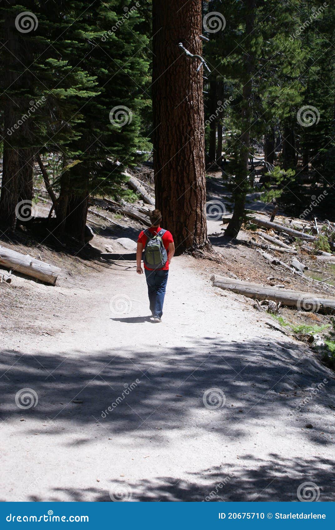 Nature Walk or Hiker stock photo. Image of exploring - 20675710