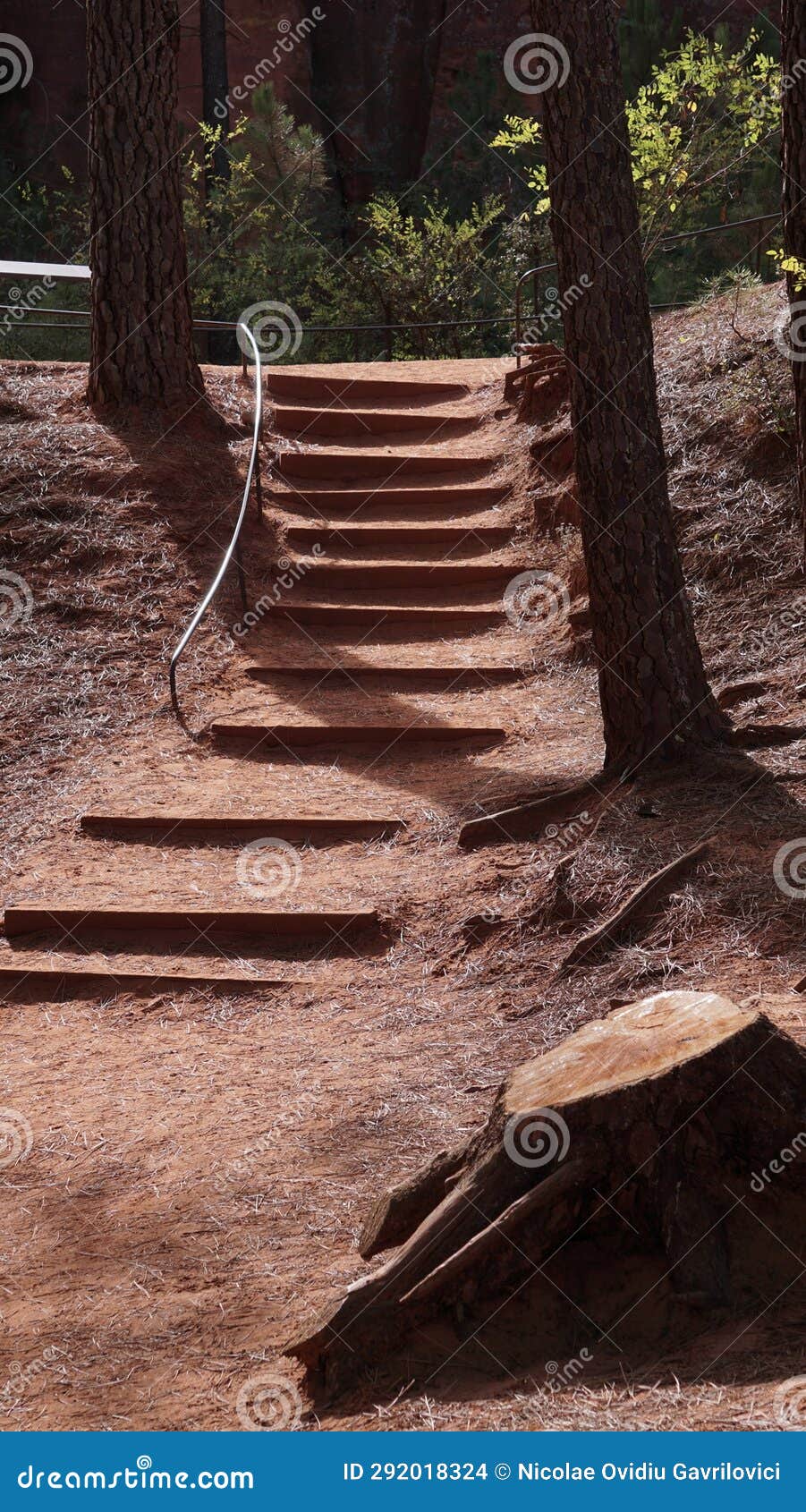 Nature Walk on a Narrow Path through the Forest Stock Photo - Image of ...