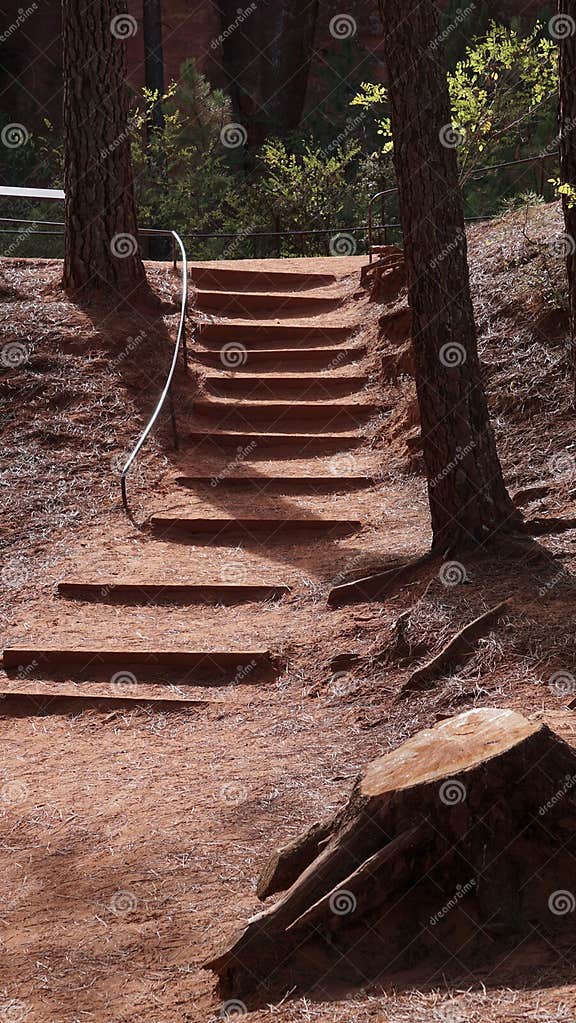 Nature Walk on a Narrow Path through the Forest Stock Photo - Image of ...