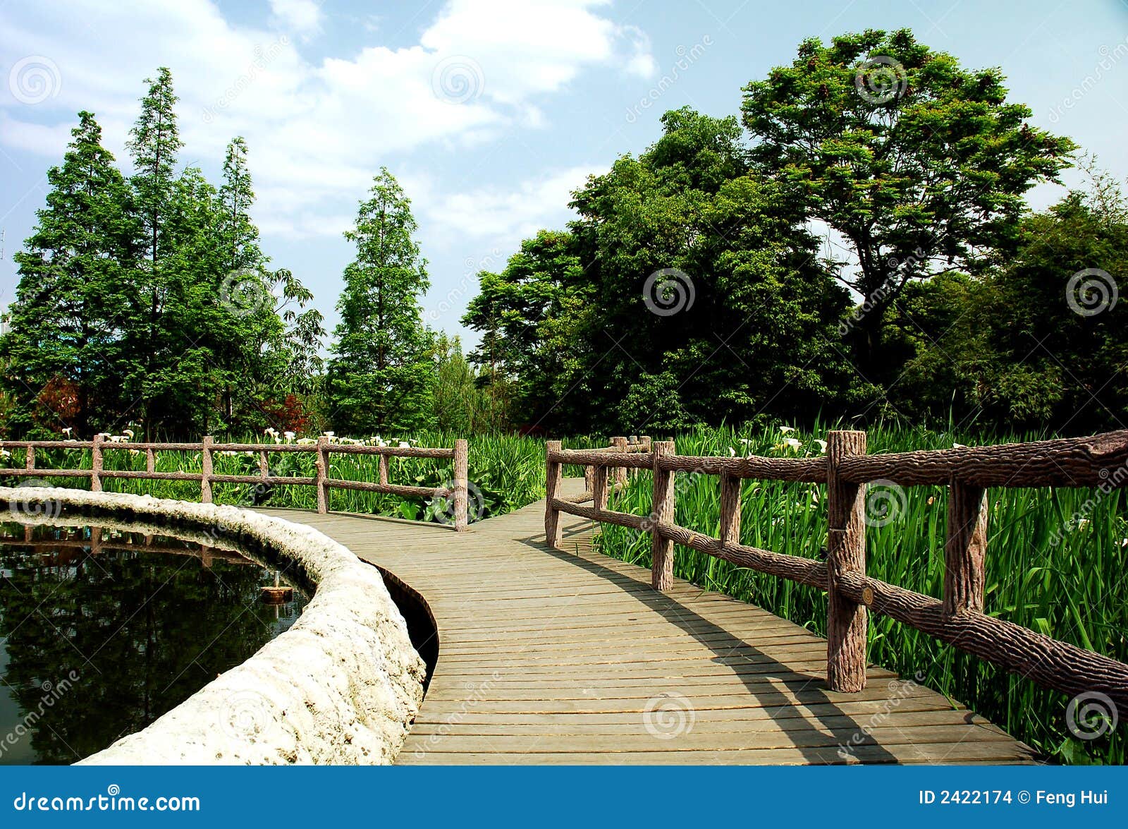 Nature walk in park stock photo. Image of marshy, wetland - 2422174