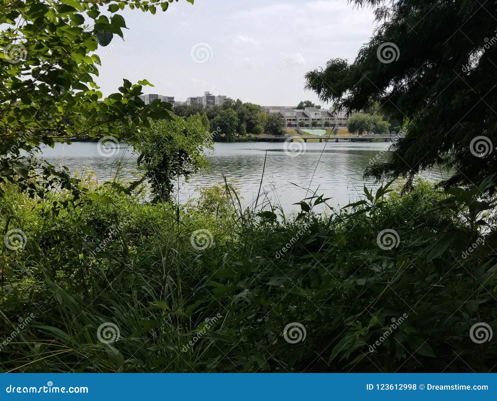 Nature Walk stock photo. Image of peek, walk, trees - 123612998