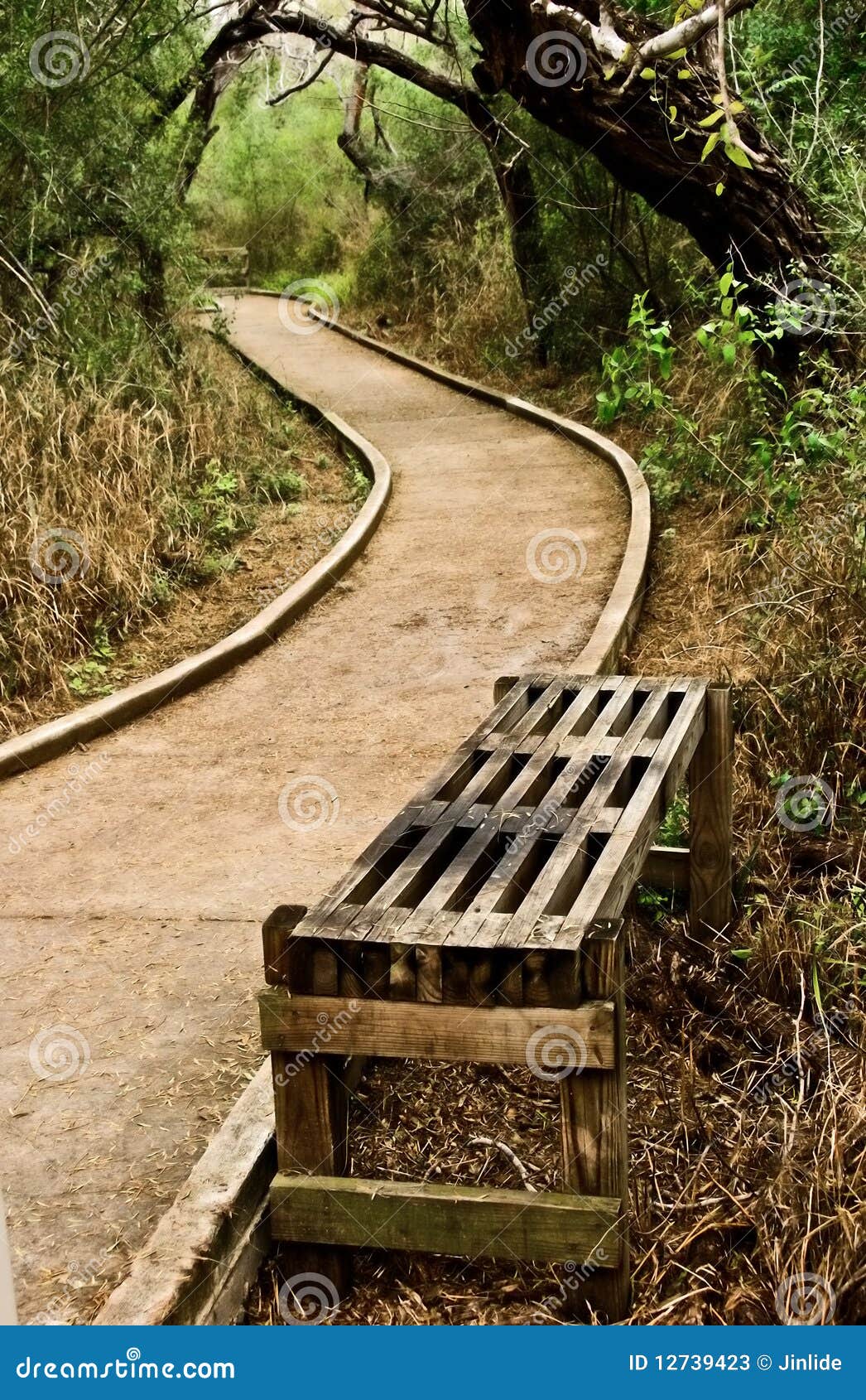 Nature Walk with a Rest Bench Stock Image - Image of area, peaceful ...