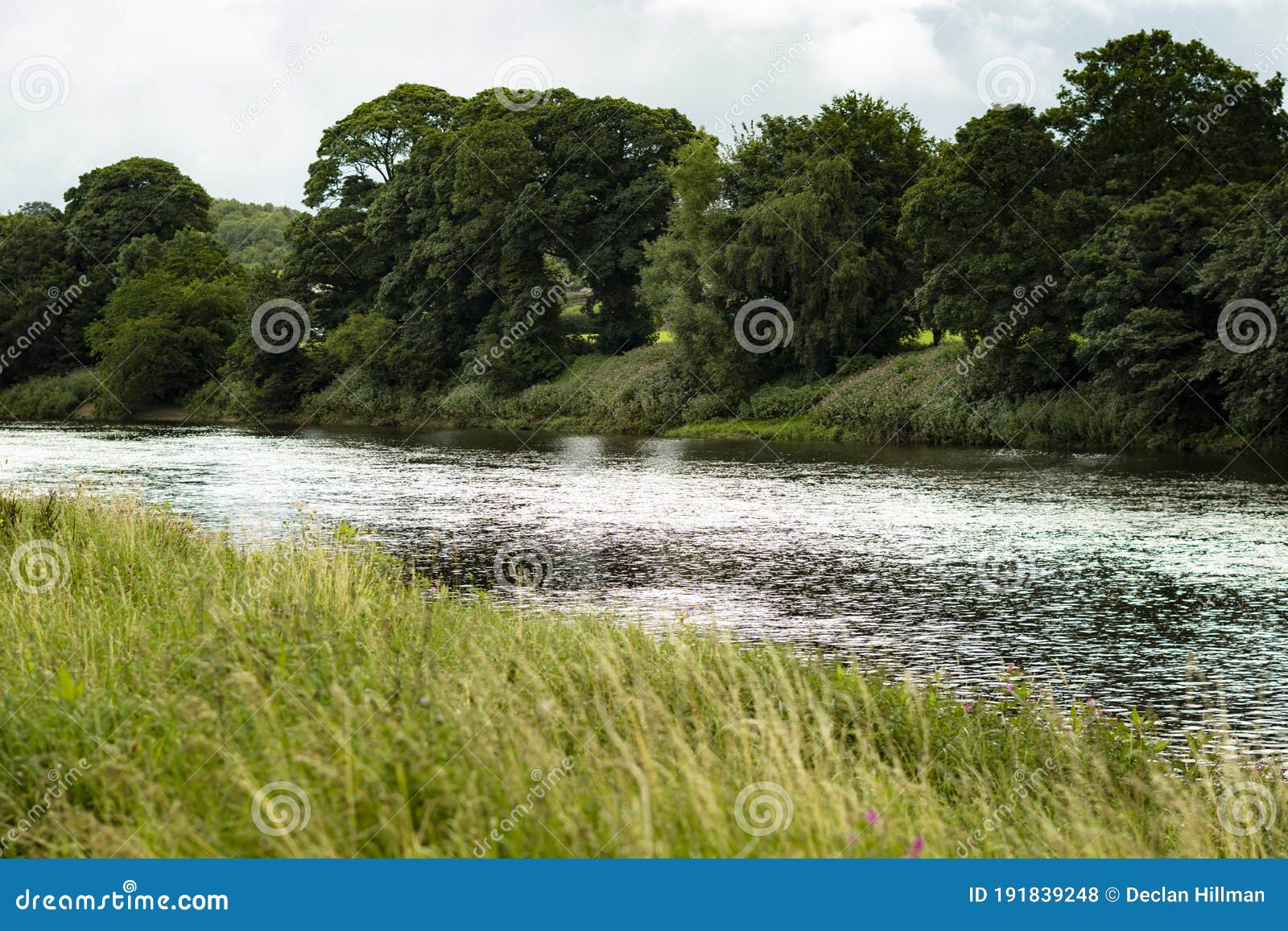 Nature Walk by River Rumble Stock Photo - Image of natural, stream ...