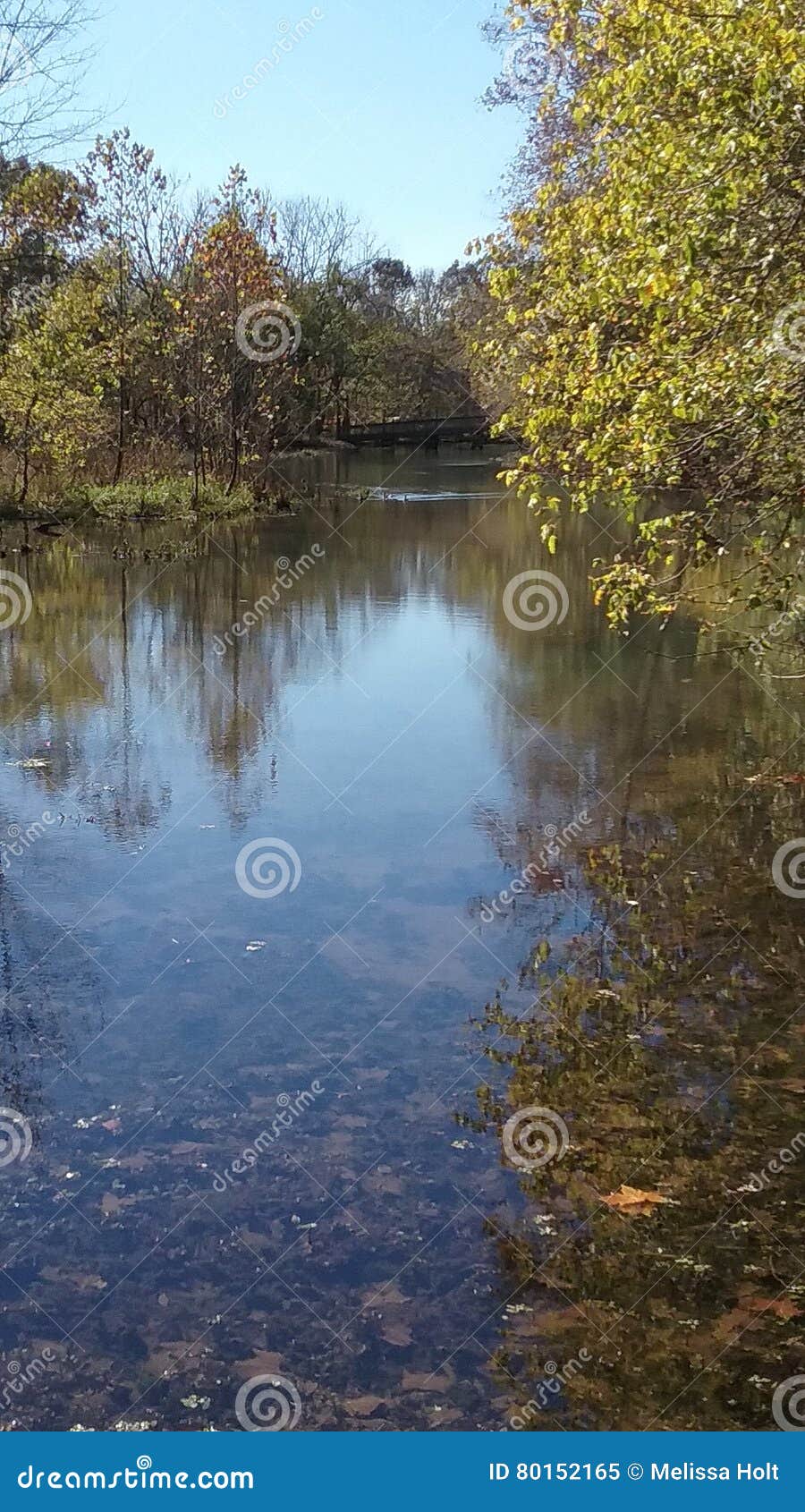 Nature walk stock image. Image of wildlife, springfield - 80152165