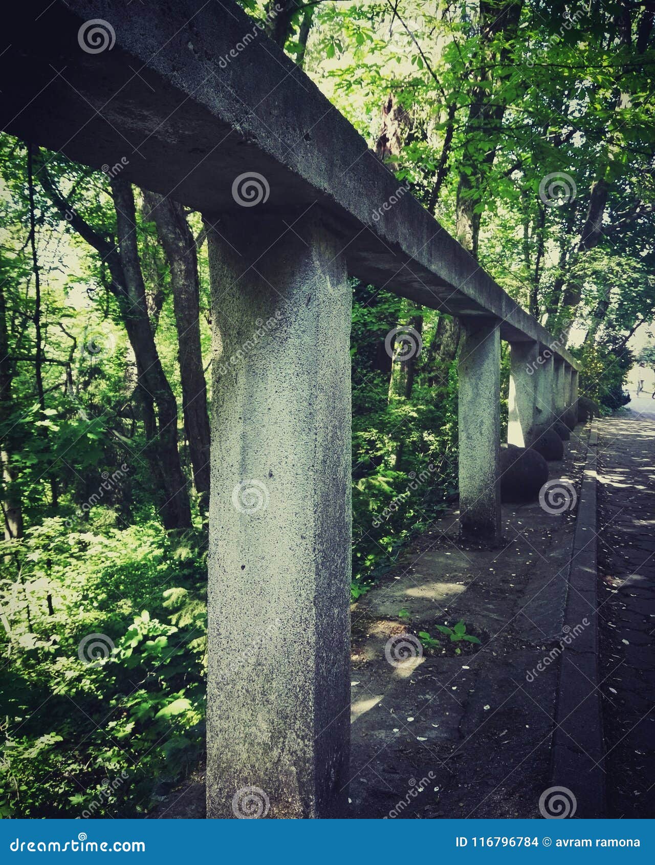 To nowhere stock photo. Image of parc, green, nature - 116796784