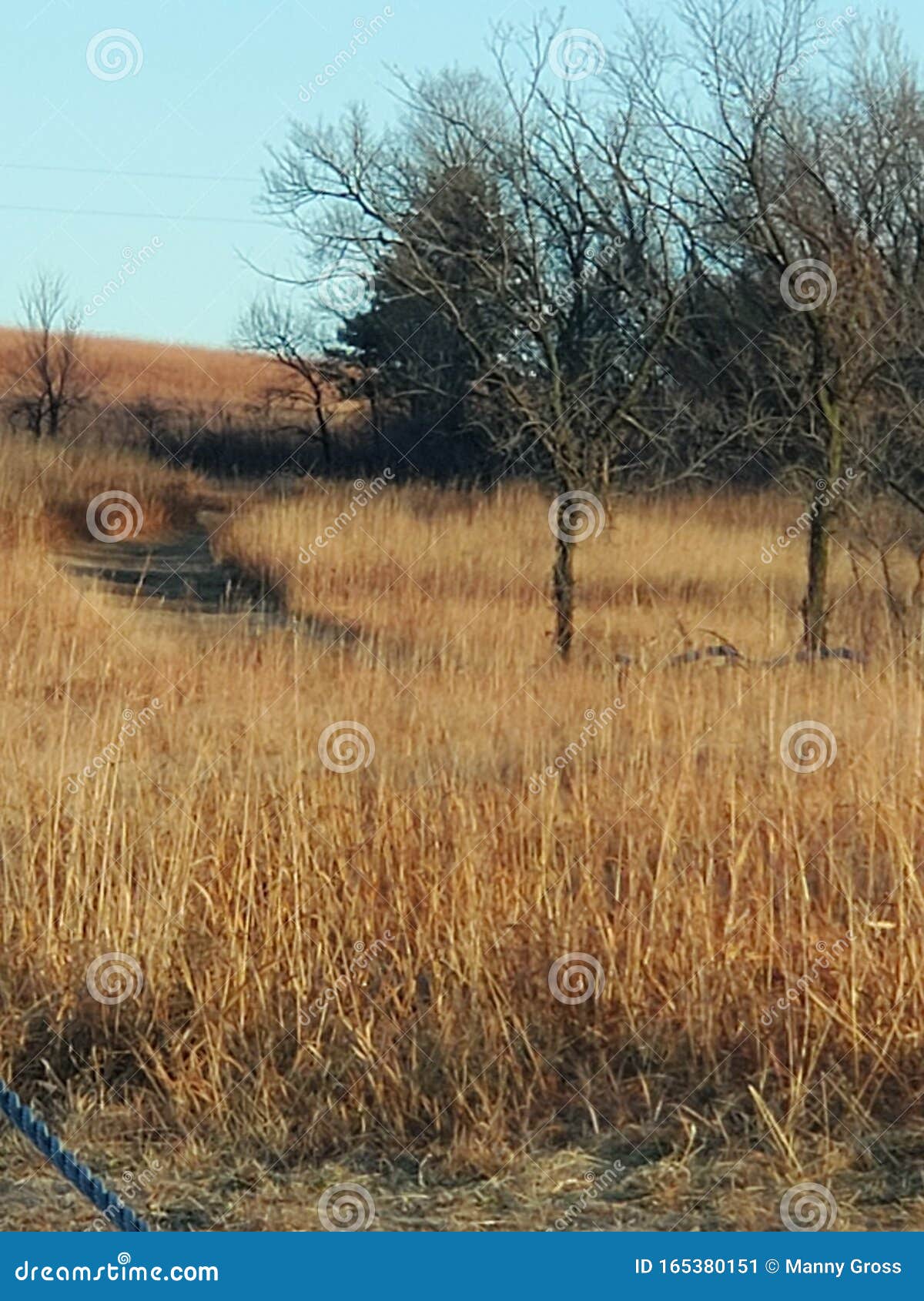 Nature Walk stock image. Image of kansas, morning, nature - 165380151
