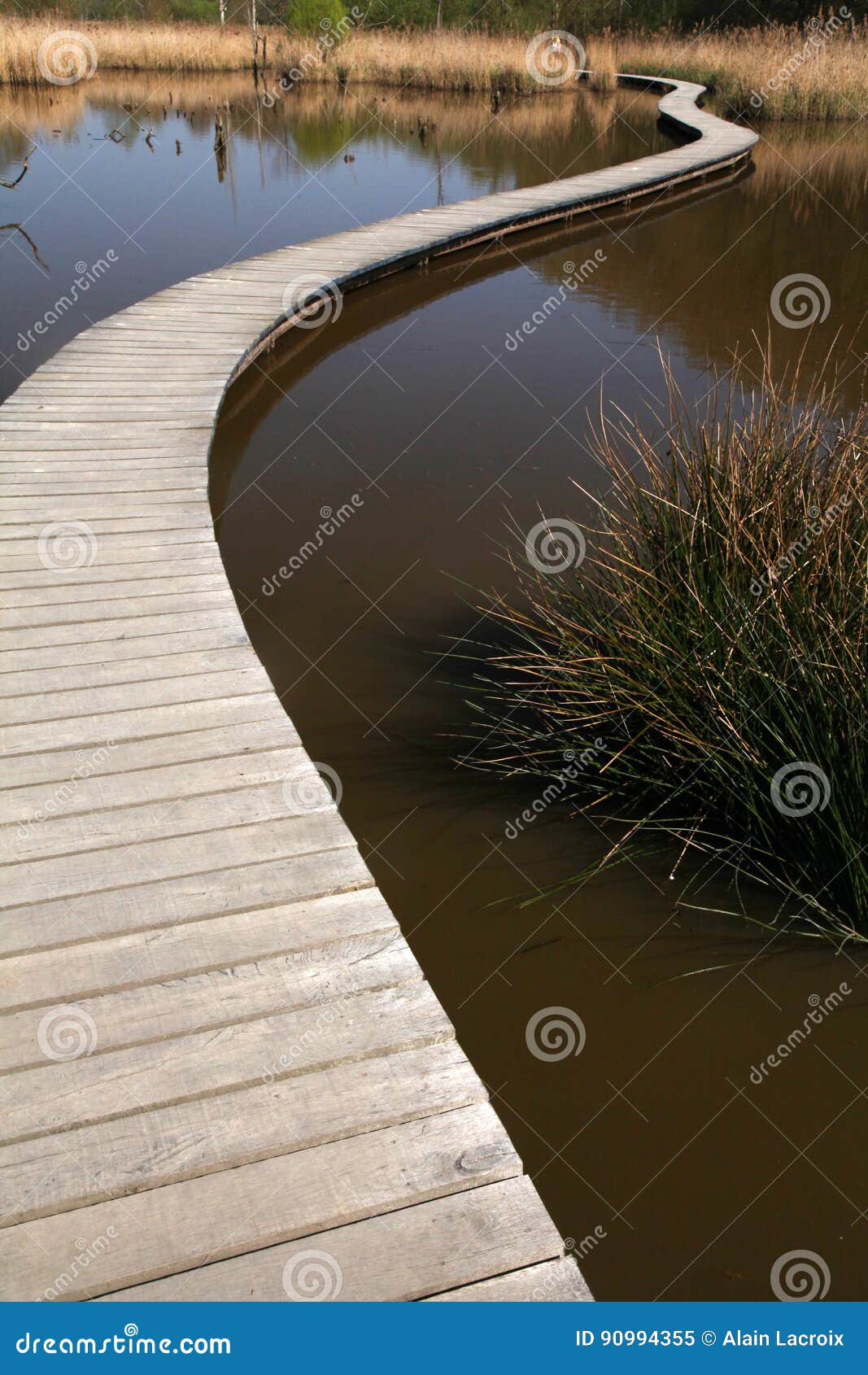 Nature walk stock image. Image of summer, outdoor, landscape - 90994355