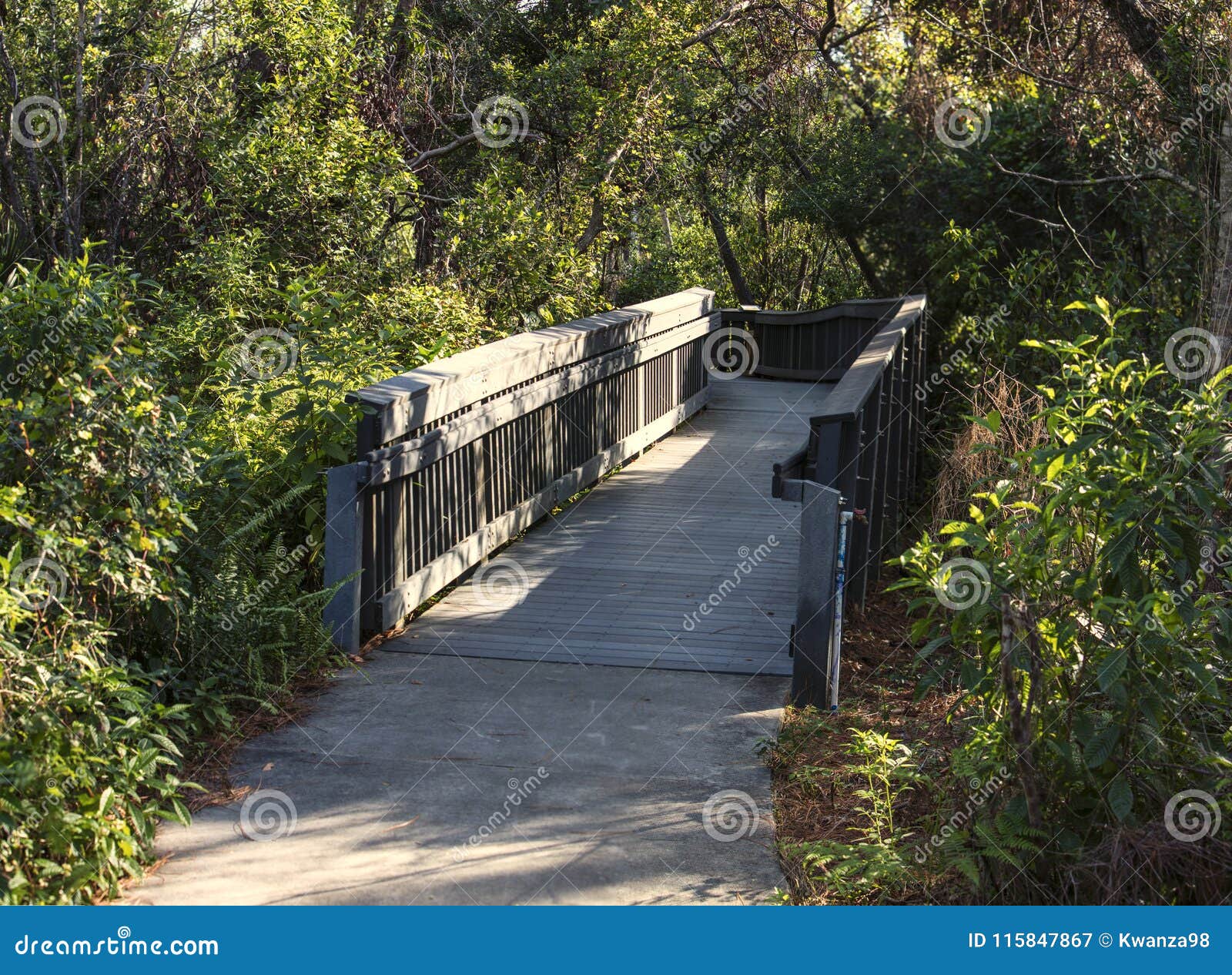 Nature Walk way stock image. Image of park, nature, walk - 115847867
