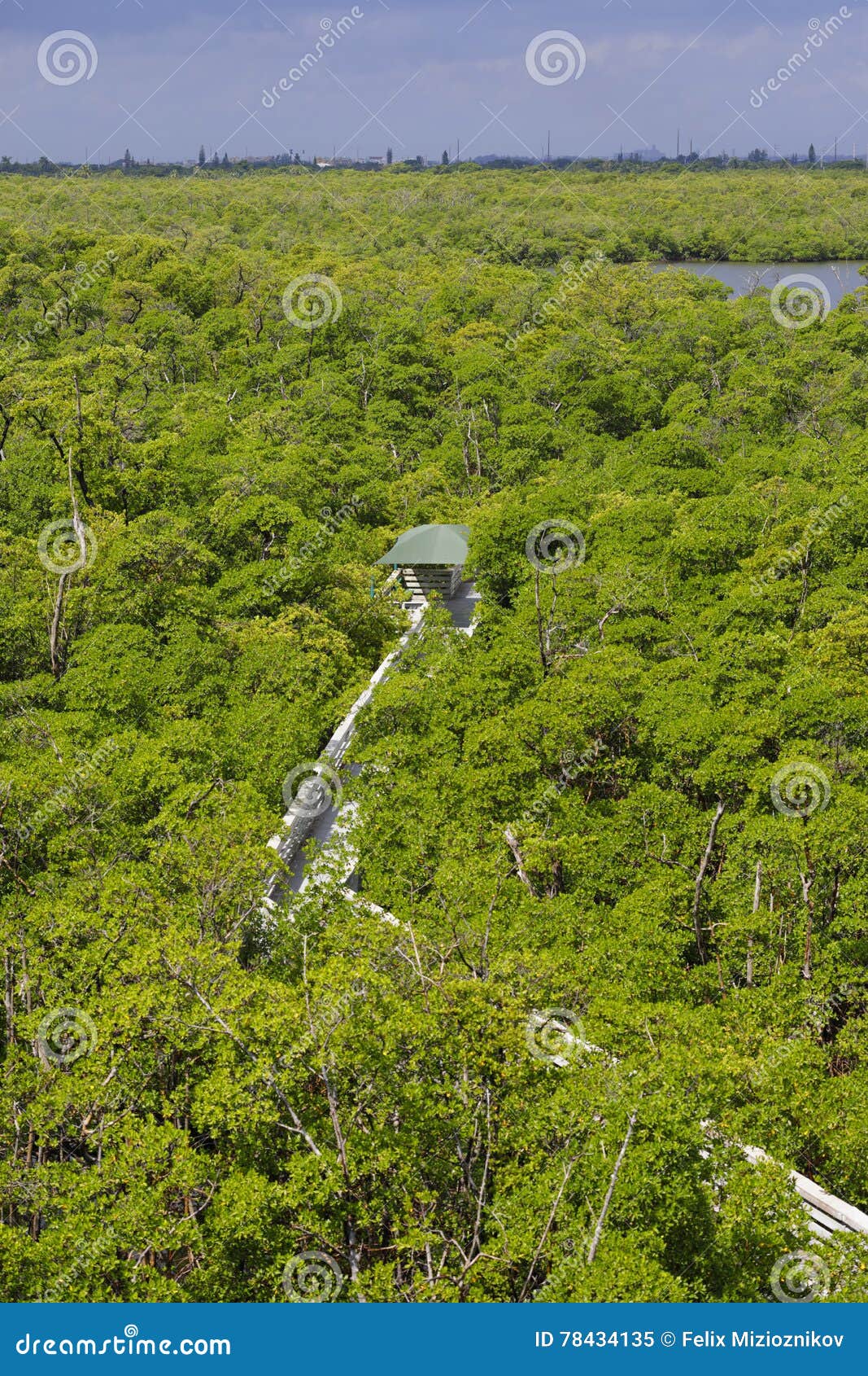 Nature walkway at a park stock image. Image of walkway - 78434135