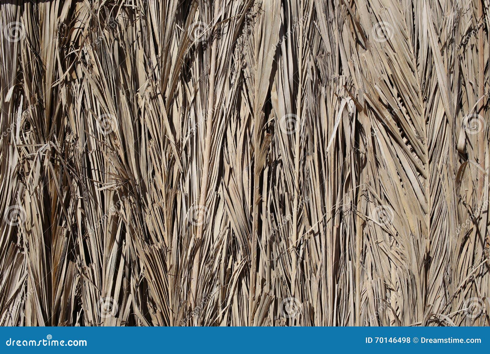 Nature Wall Shack Texture Egypt As a Background Stock Photo - Image of ...