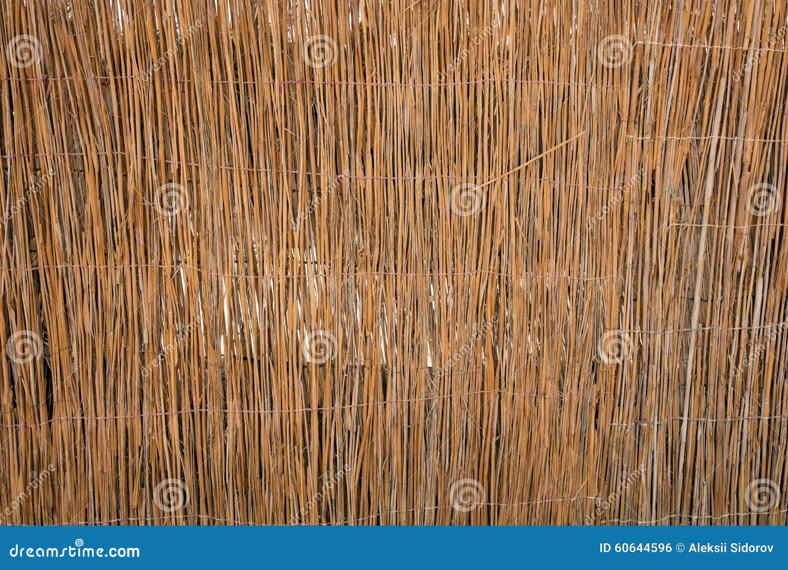 Nature Wall Shack Texture Egypt Location Photos - Free & Royalty-Free ...