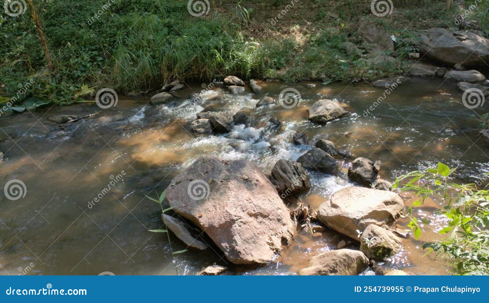 Nature Water Flow Over Rock Stock Video - Video of running, paradise ...