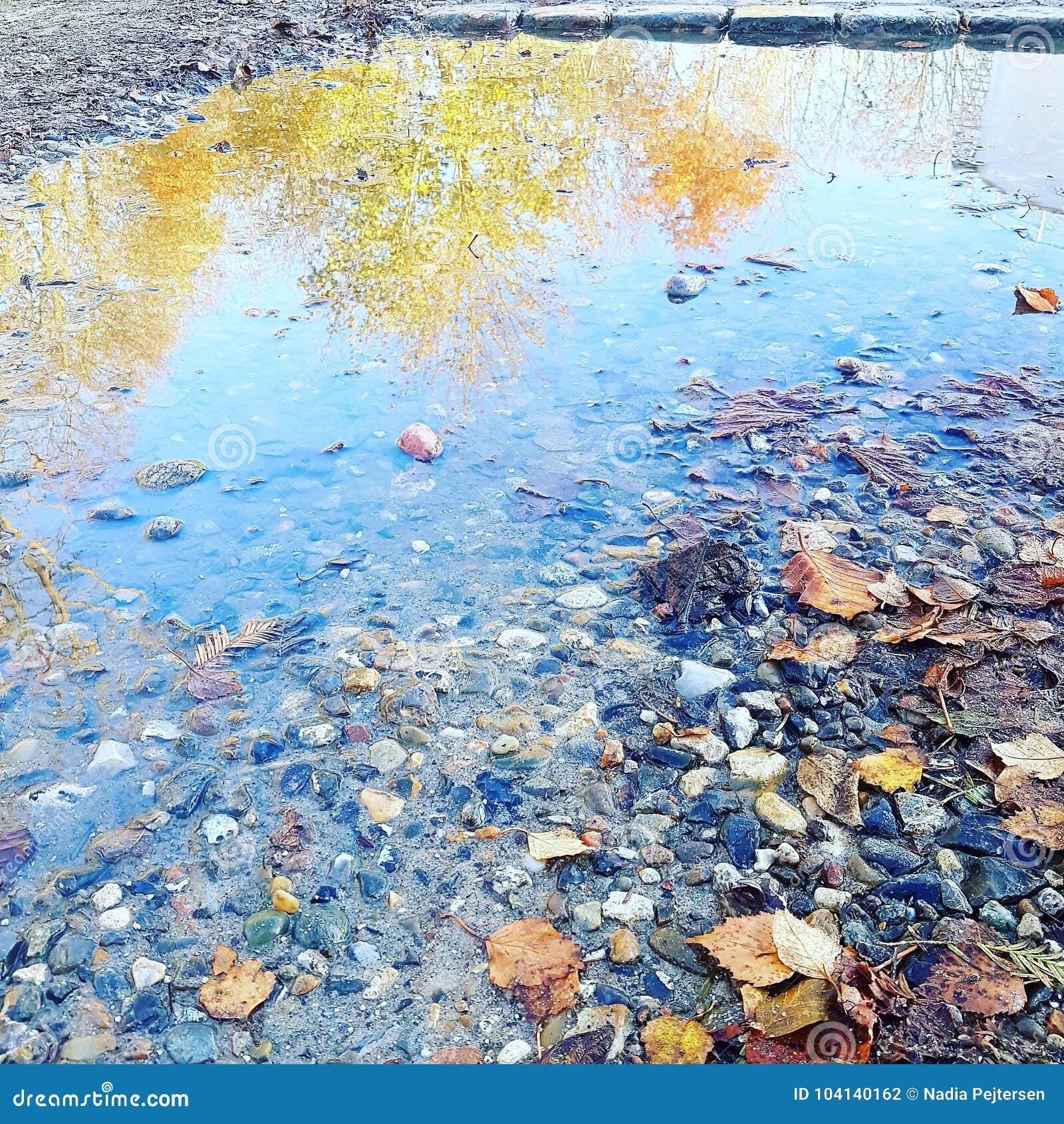 Puddle stock photo. Image of water, stones, puddle, leaves - 104140162