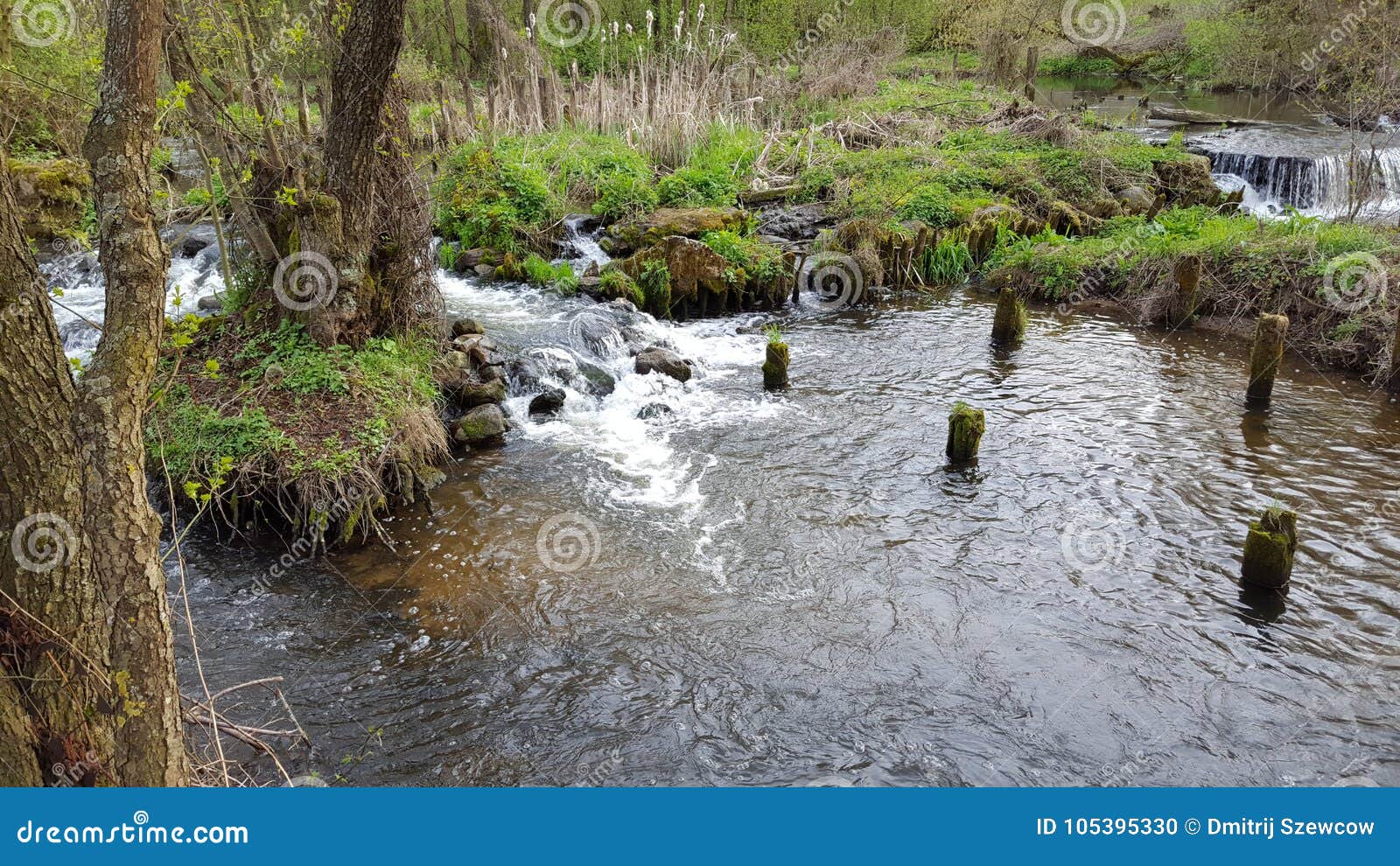 Nature stock photo. Image of nature, river, water, cool - 105395330