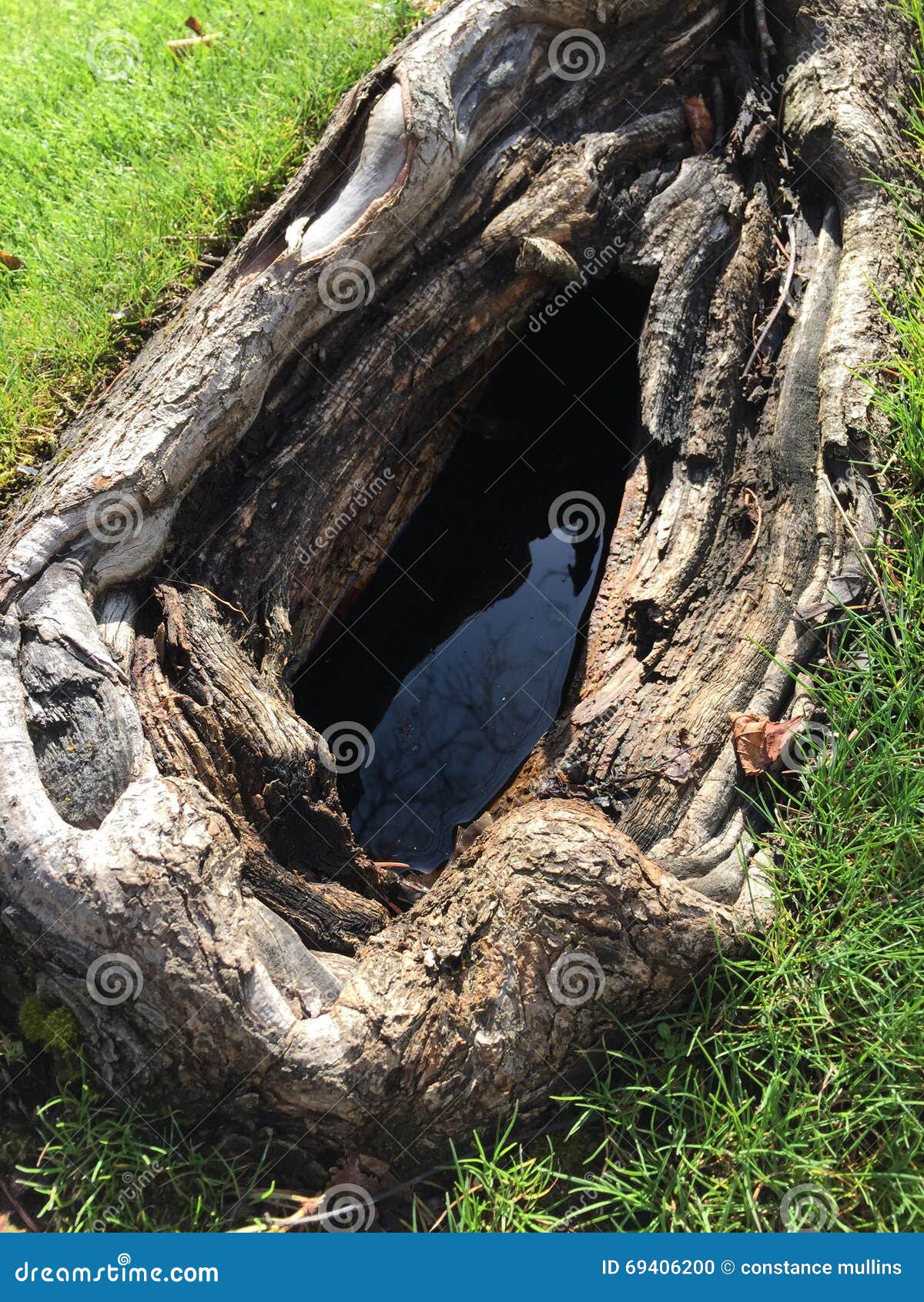 Nature stock photo. Image of mysterious, water, nature - 69406200