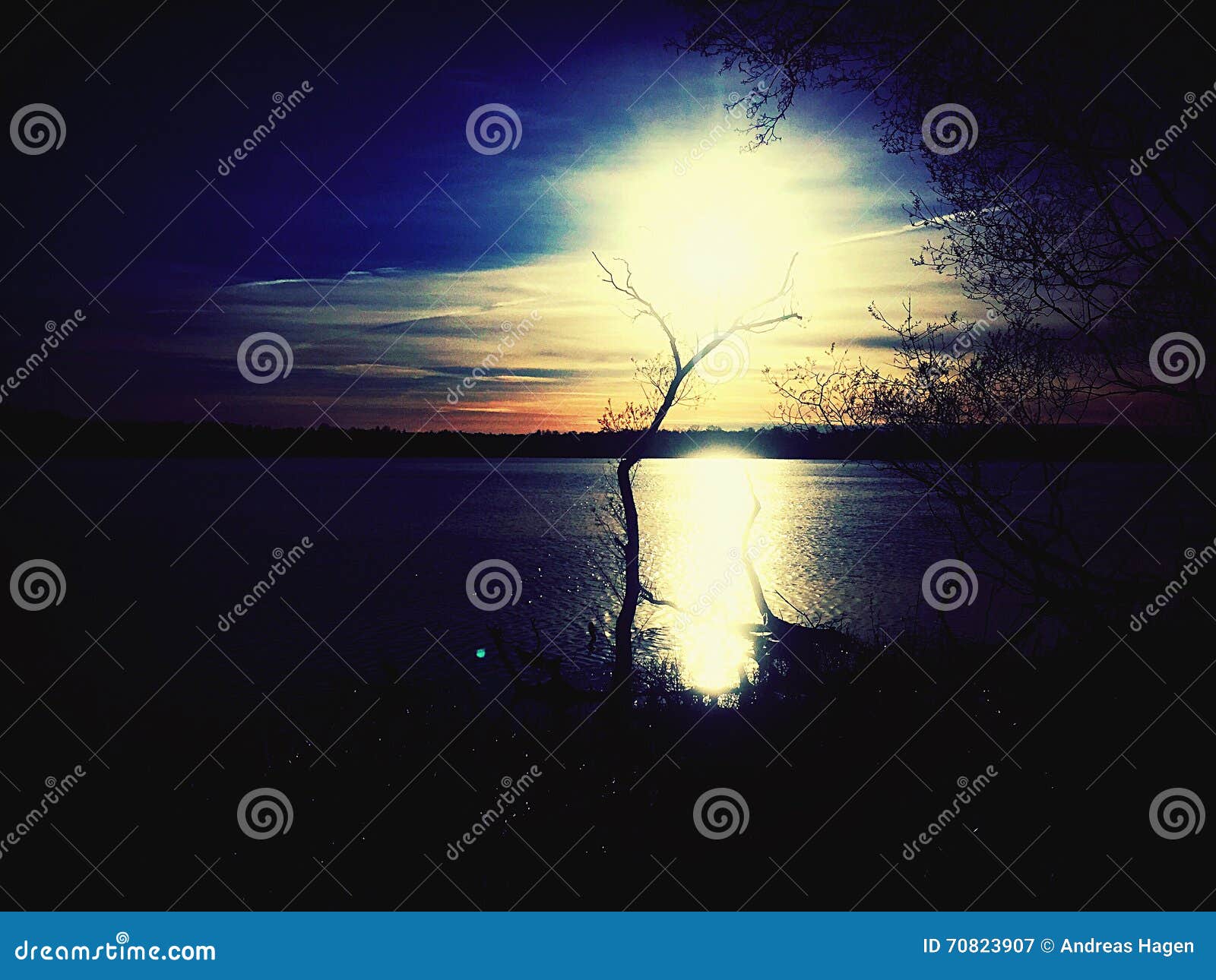 Nature stock image. Image of sunset, lake, tree, water - 70823907